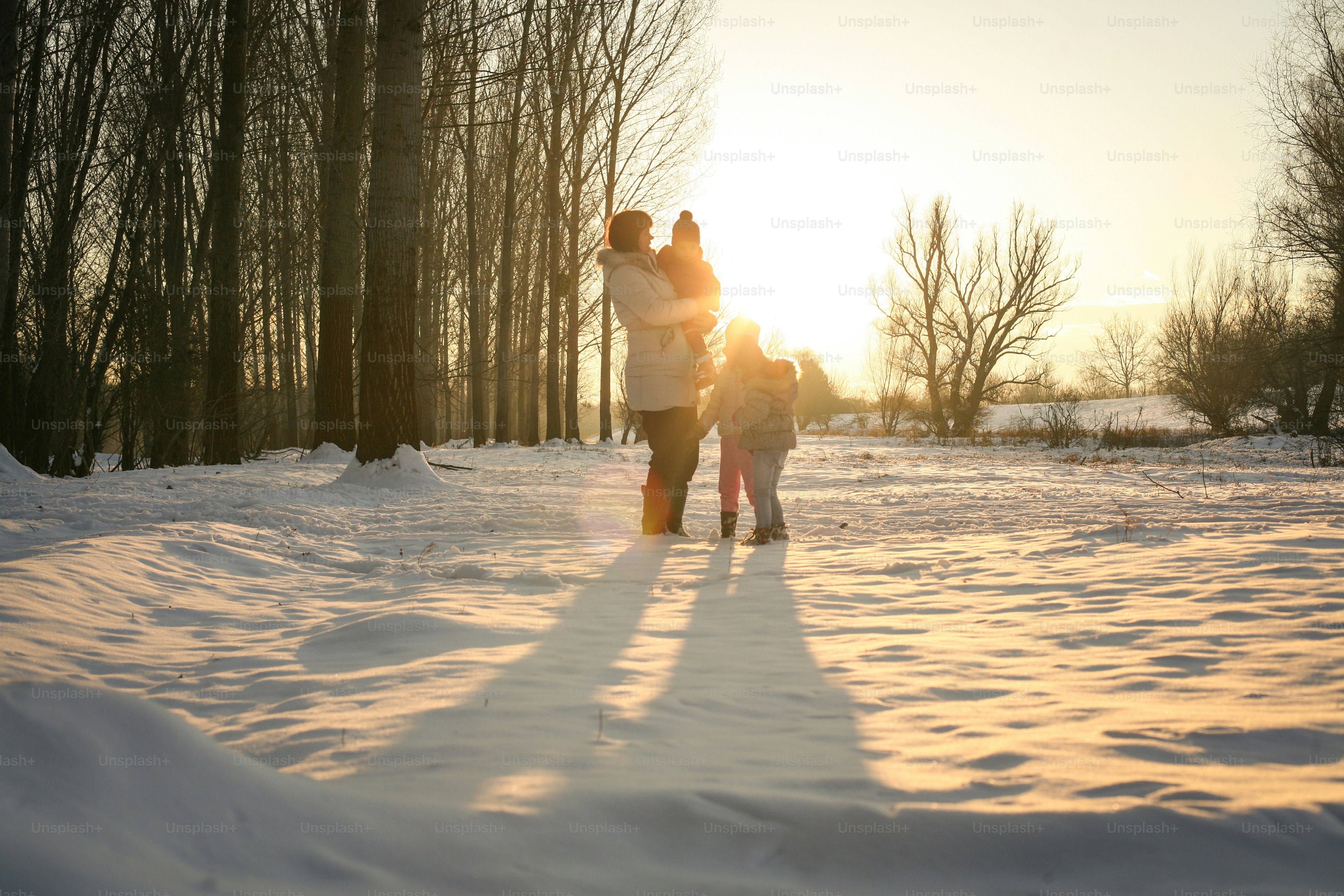 500+ HD Scene Photos | Download Free Images On Unsplash