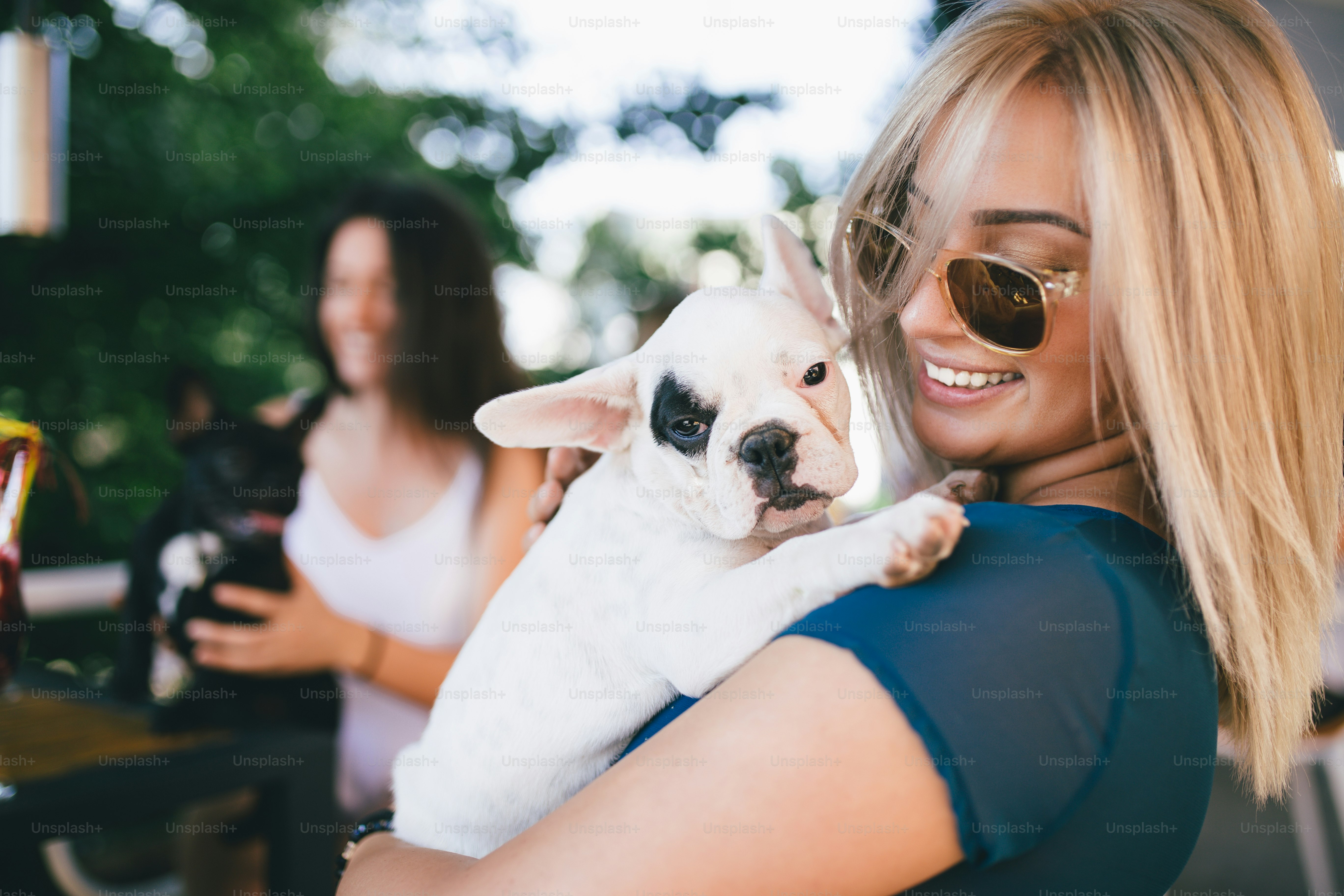 Hermosa joven sentada en el café con su adorable cachorro de bulldog ...