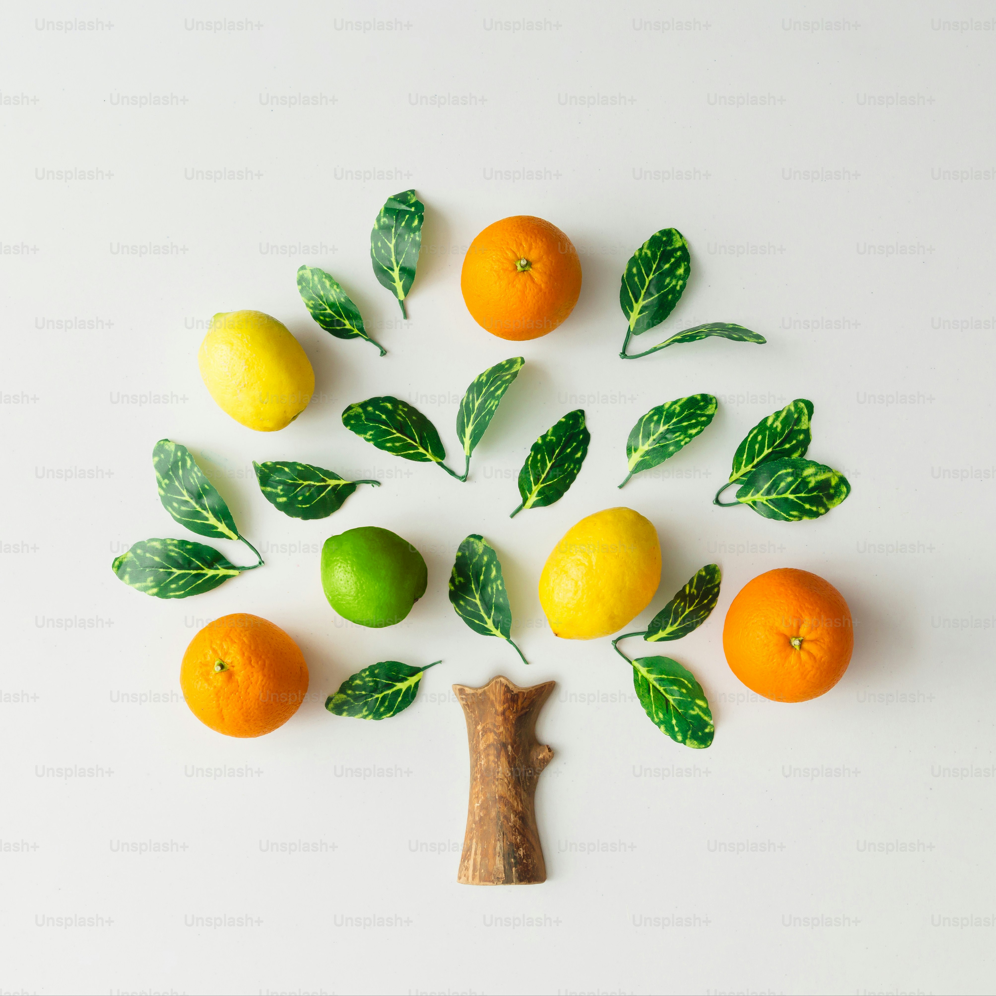 Citrus Tree Pictures | Download Free Images on Unsplash