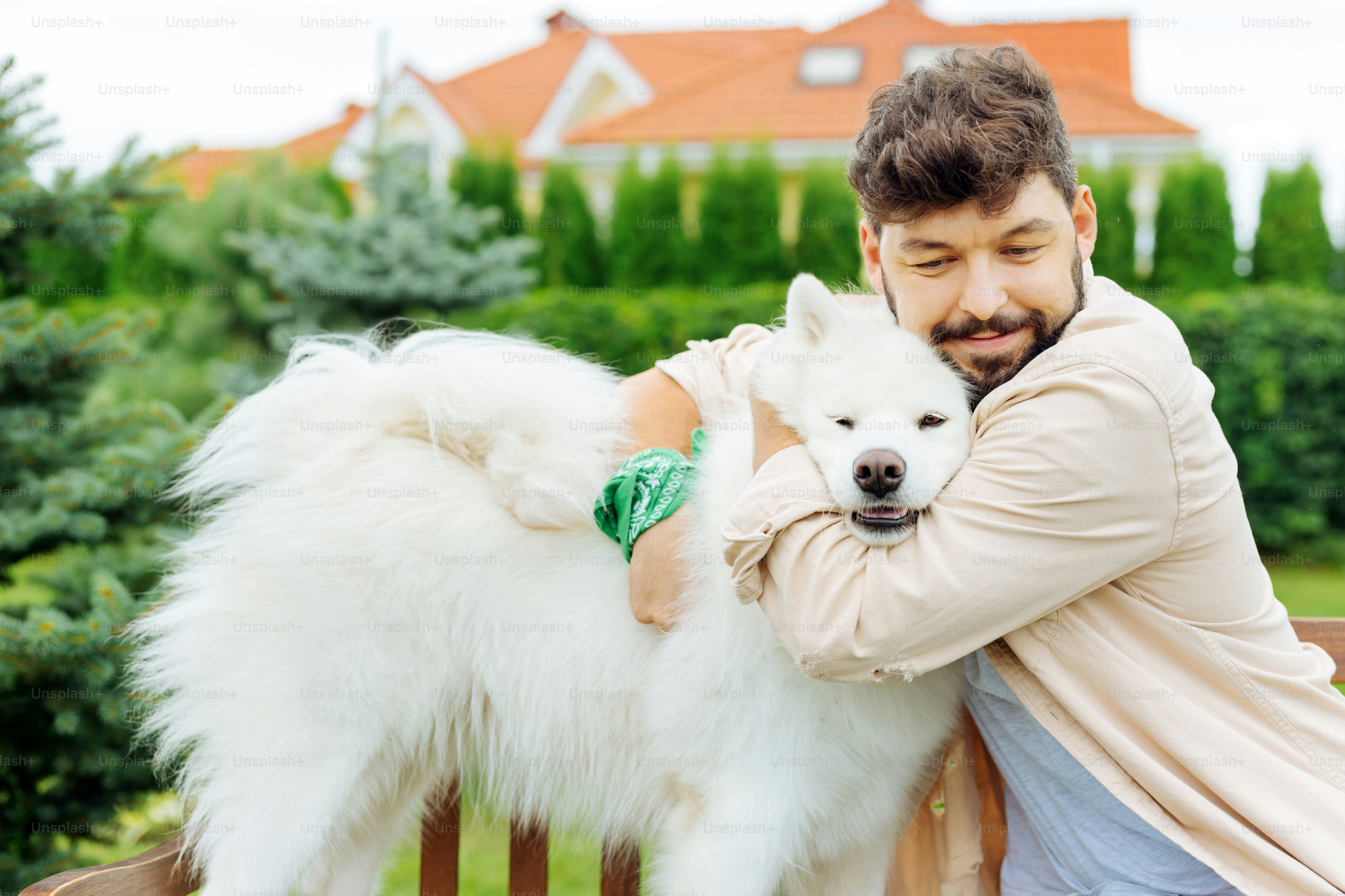 Man and husky. Handsome man and white husky hugging while enjoying ...