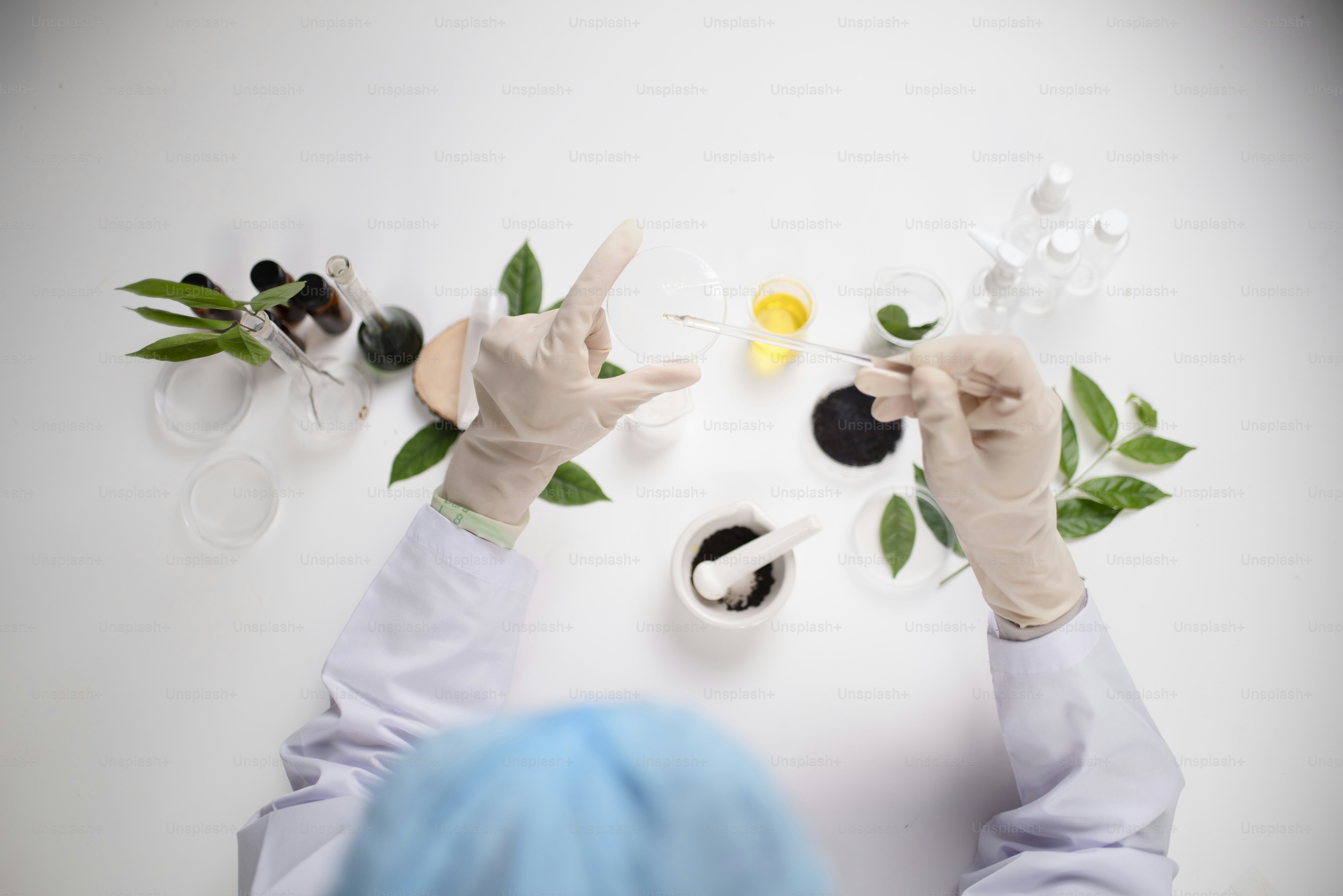 Chercheurs en soins de santé travaillant dans un laboratoire de ...