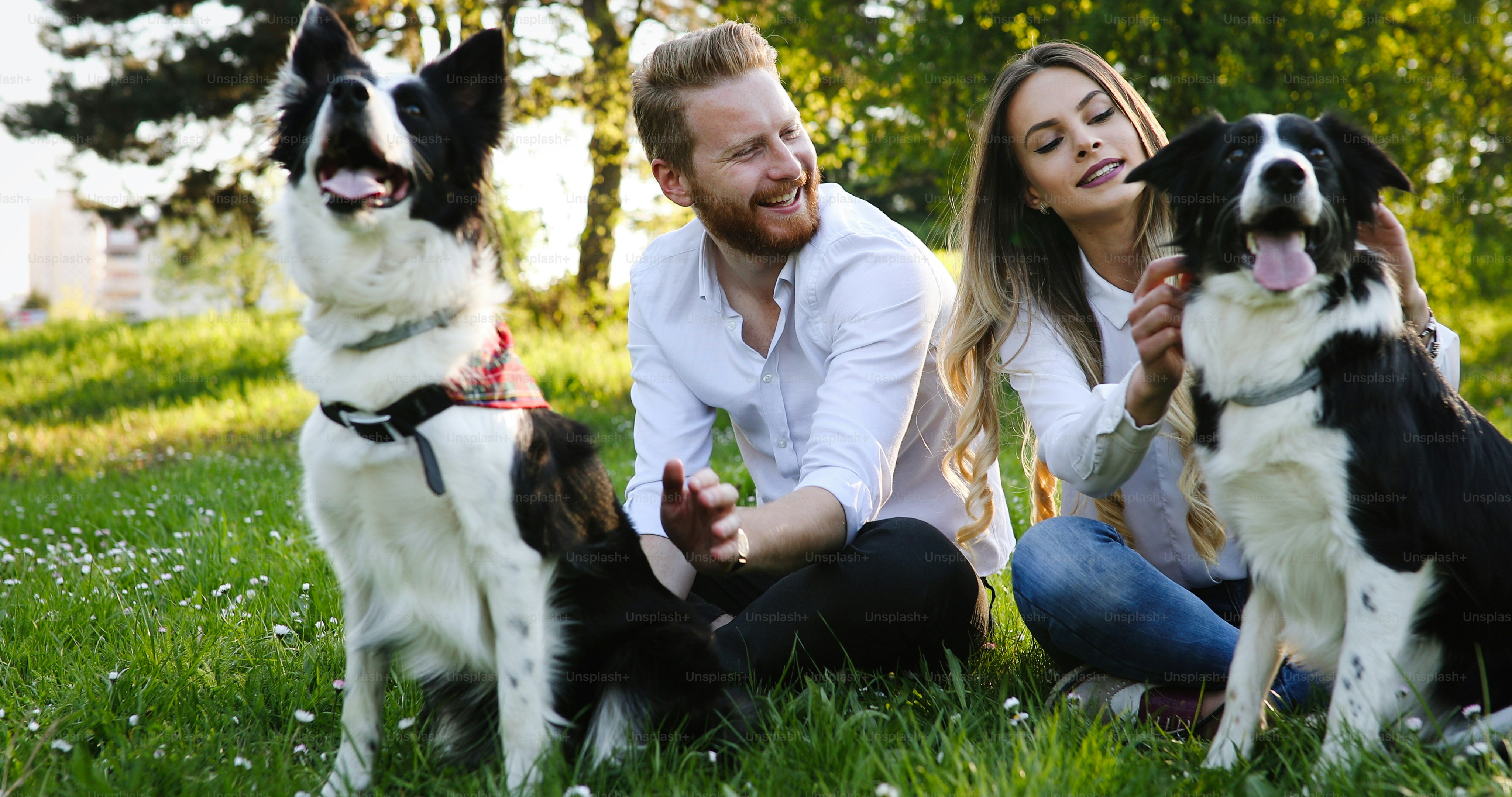Foto Pareja romántica enamorada paseando perros y vinculándose en la ...