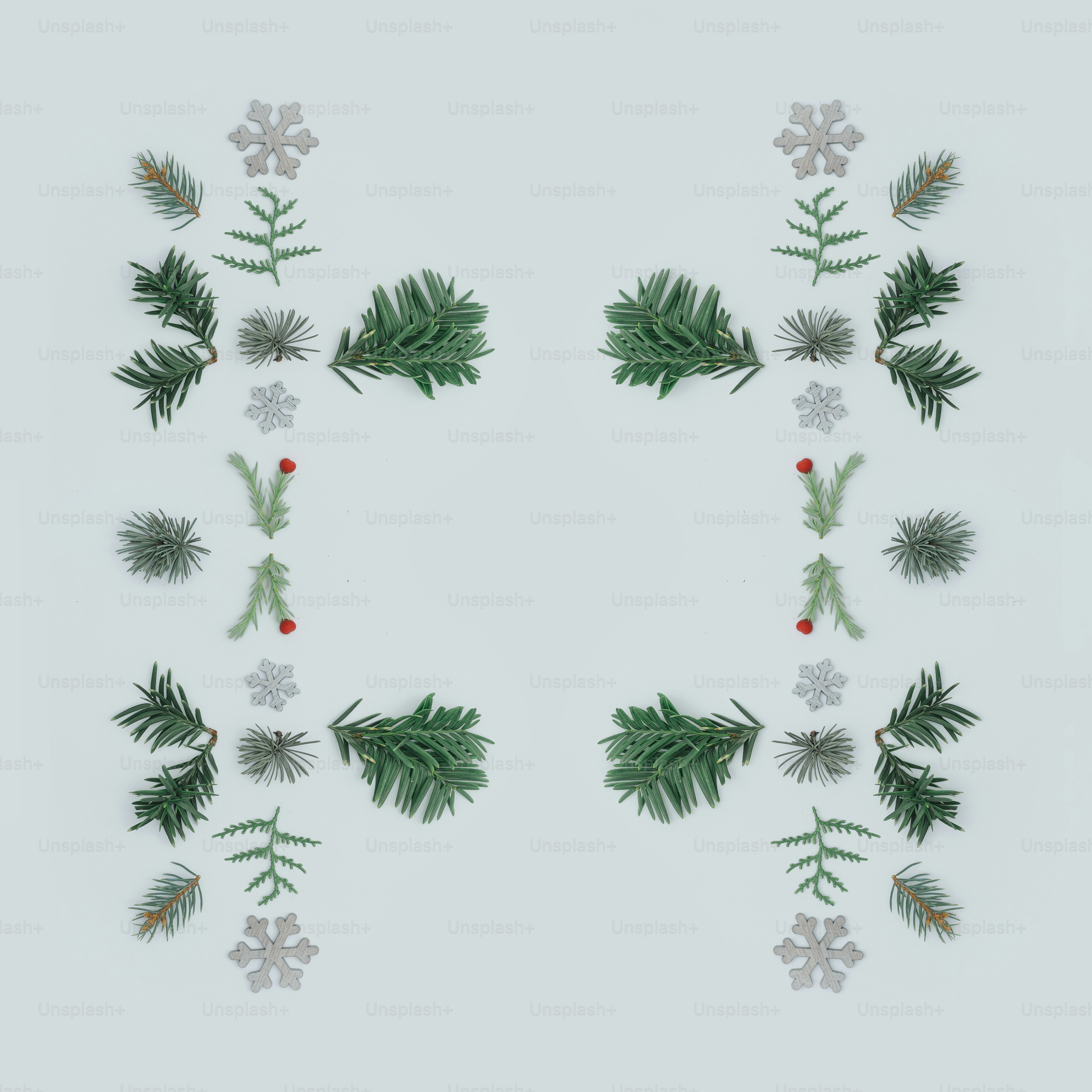 Creative layout made with evergreen tree branches on bright background ...