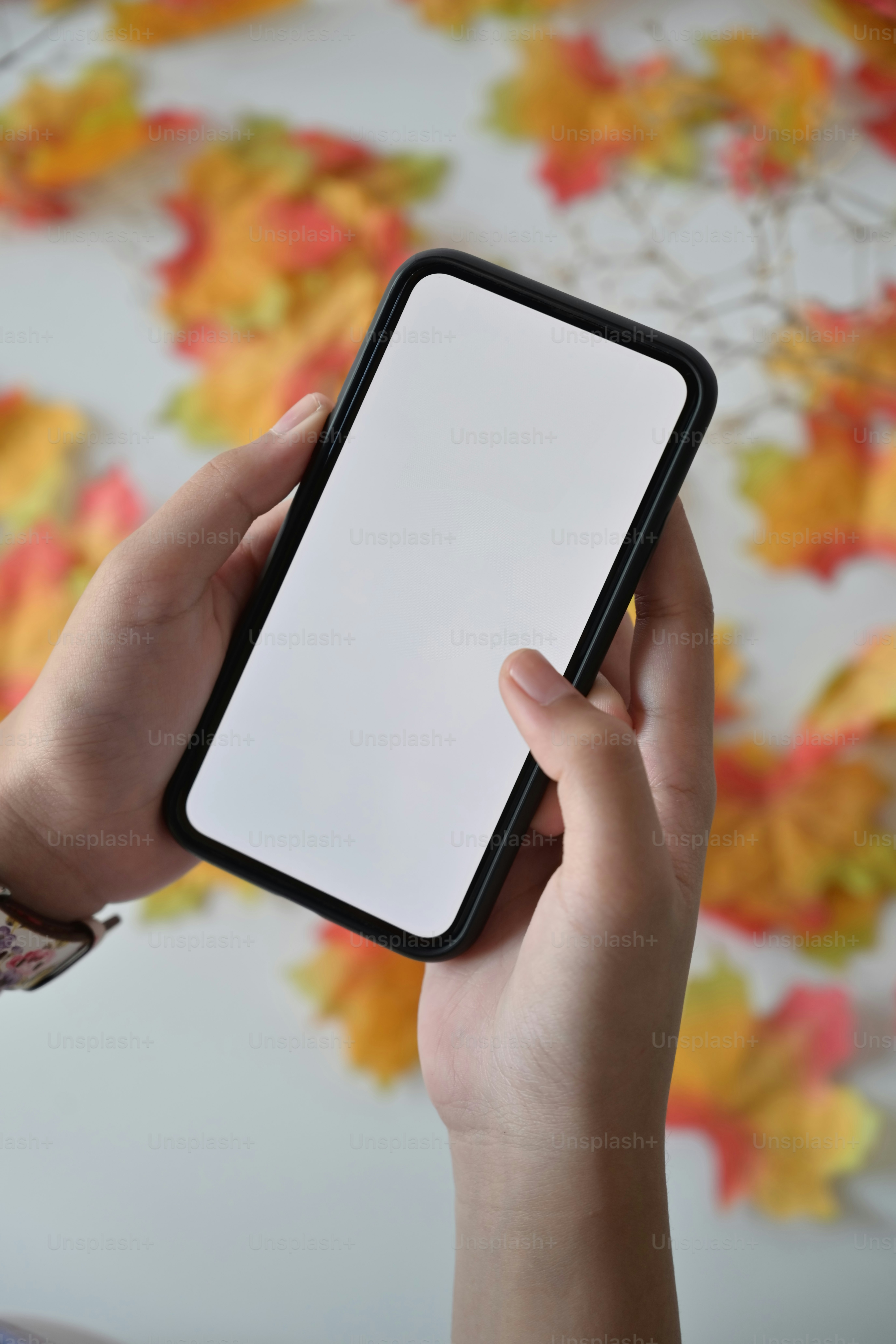 Top view of women's hands holding mobile phone with blank screen for ...