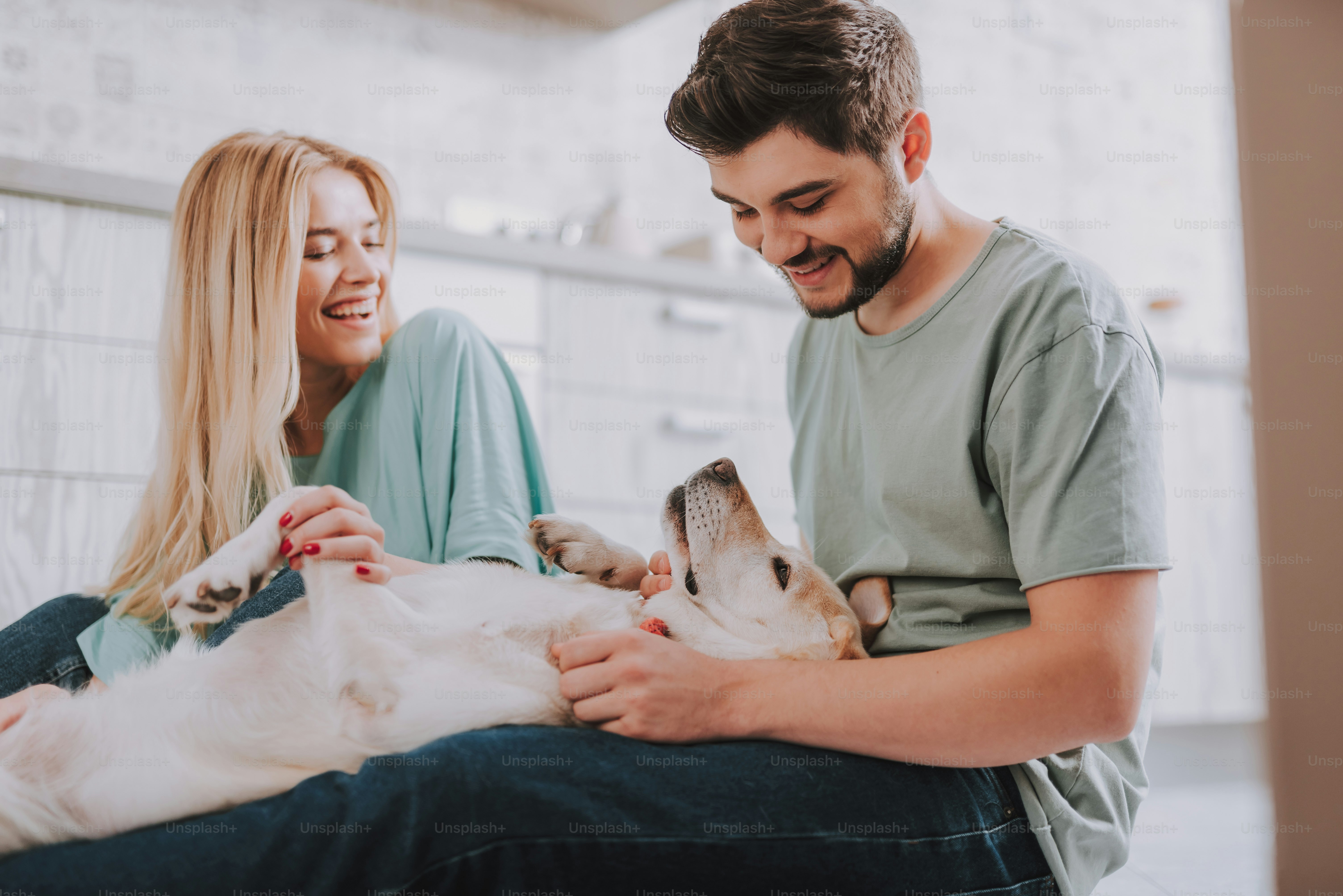 Contented dog lying on lap of its owners. Happy family spending time ...