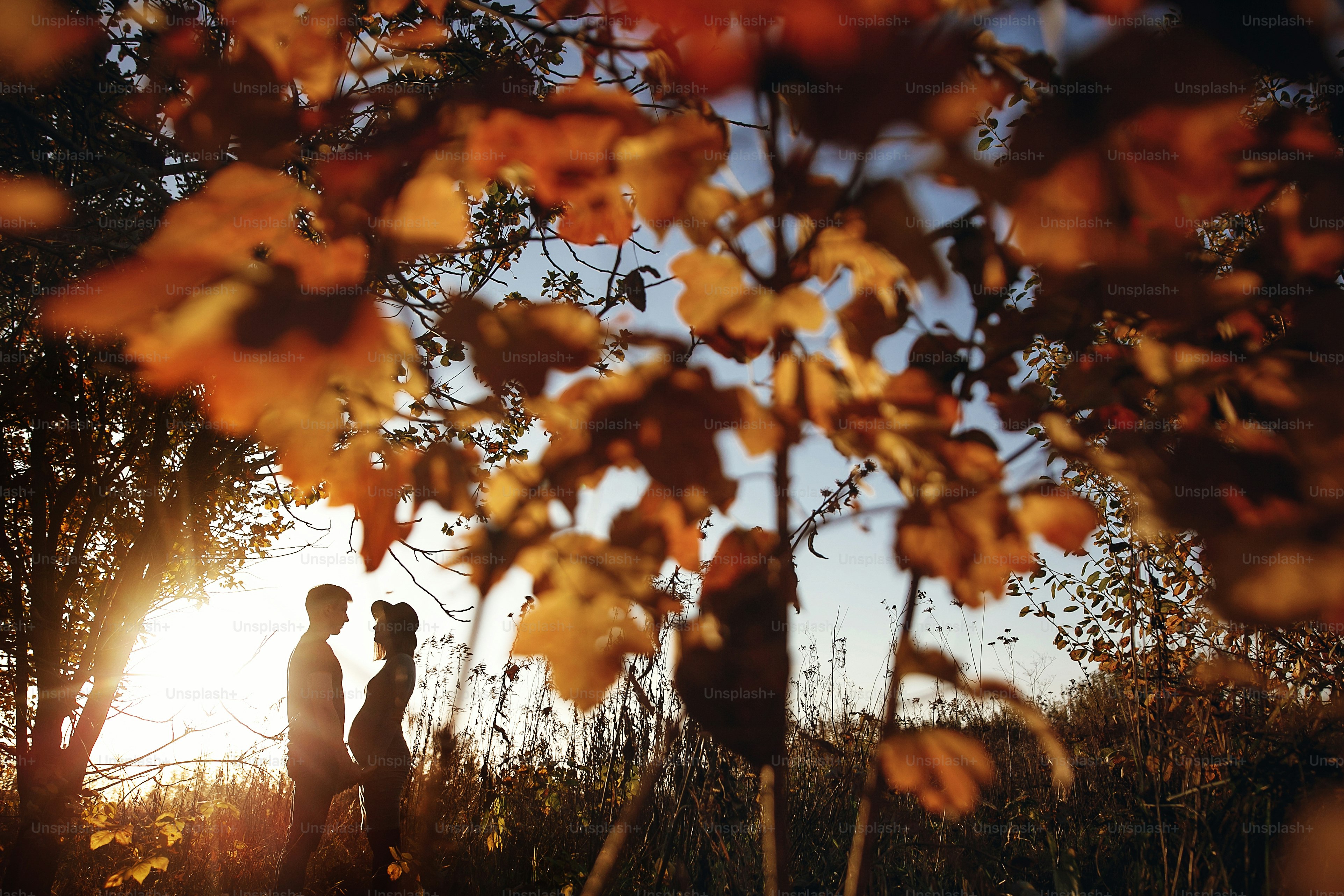 Stylish pregnant couple silhouettes in sunny light in autumn park among ...