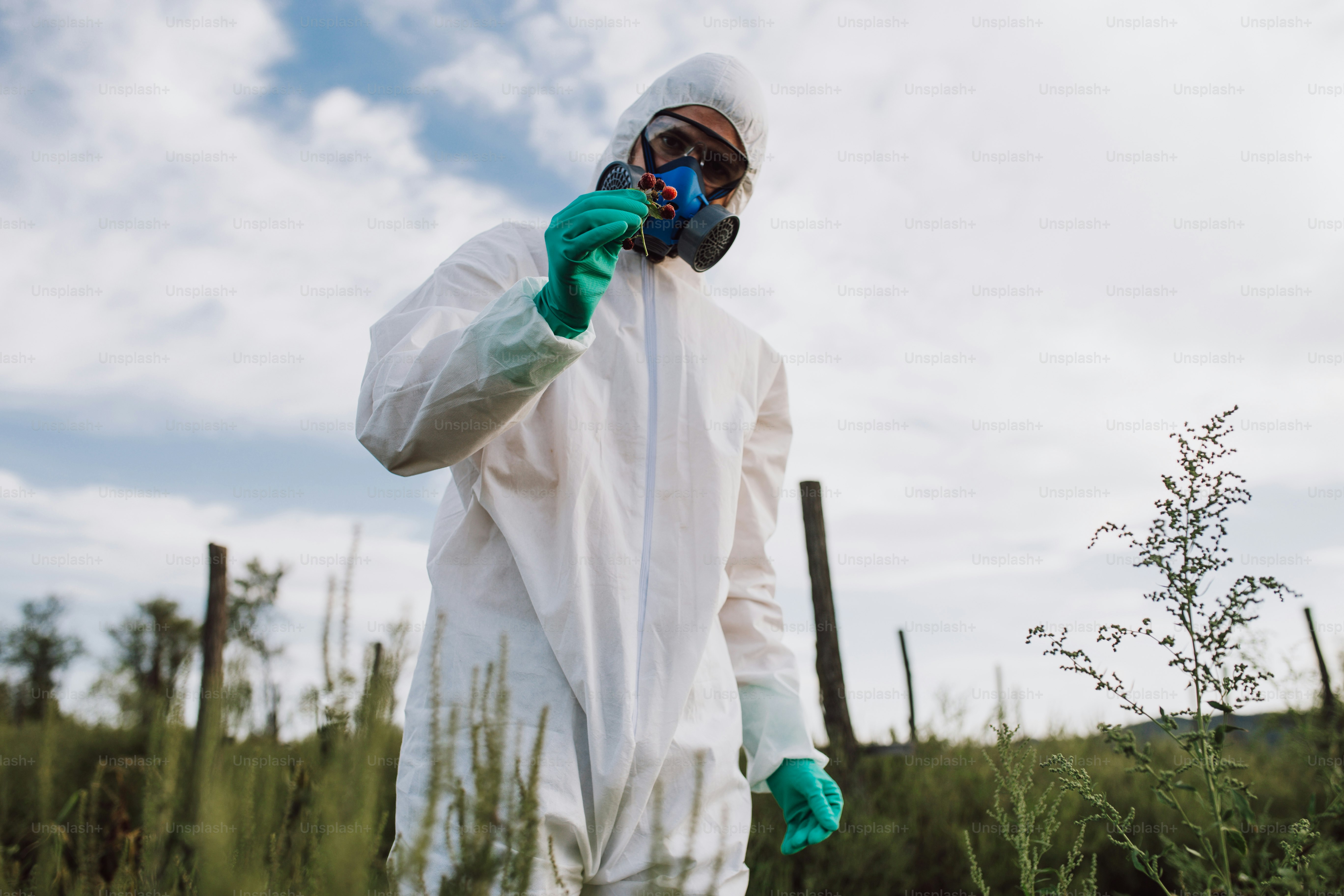 Weed control. Industrial agriculture researching. Man in protective ...
