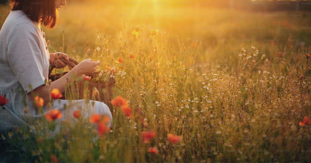 リネンのドレスを着たスタイリッシュな女の子が、素朴なストローバスケットに花を集め、夕日のケシの牧草地に座っています。夏の畑で暖かい夕方の日差し
