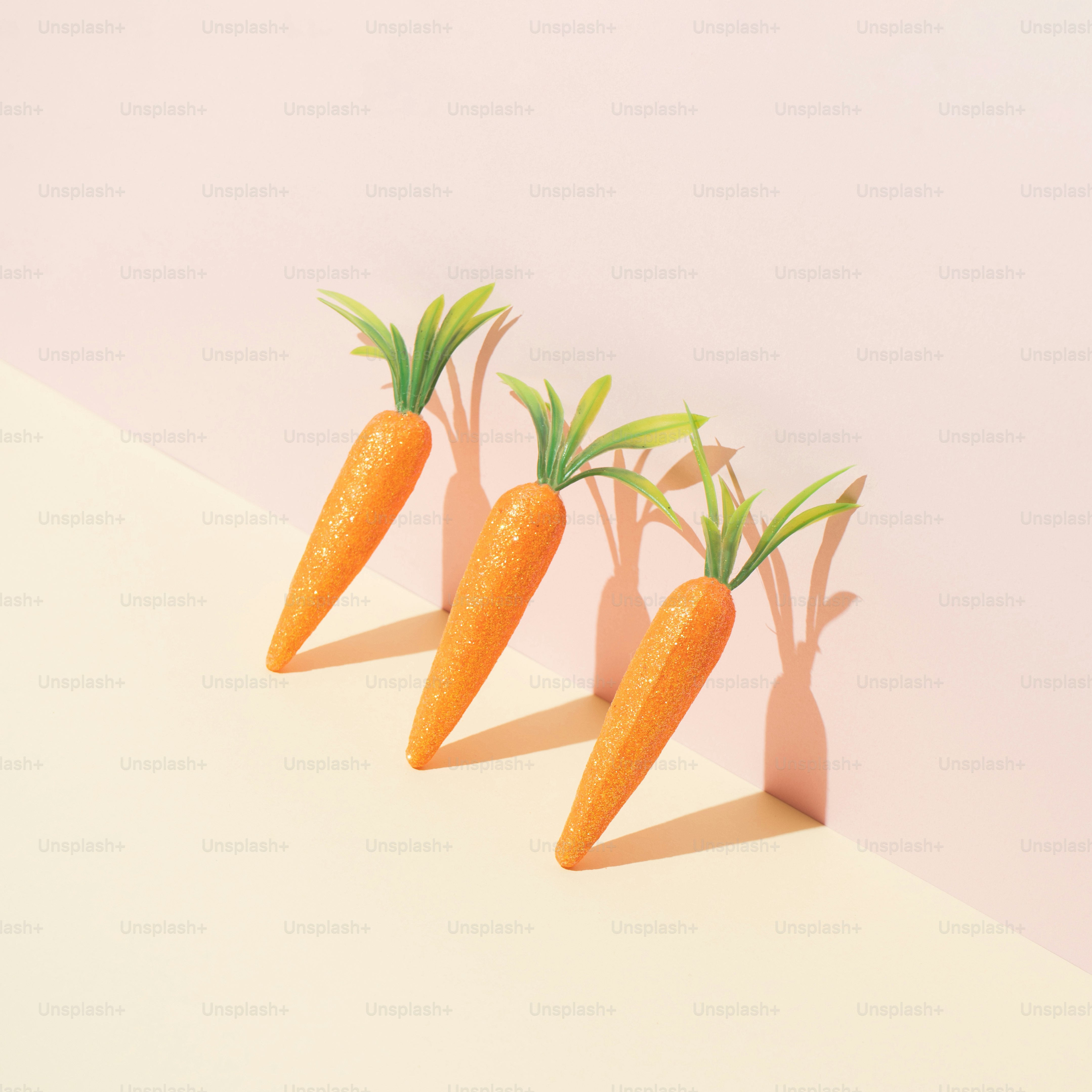 Spring minimal composition. photo – Ripe Image on Unsplash