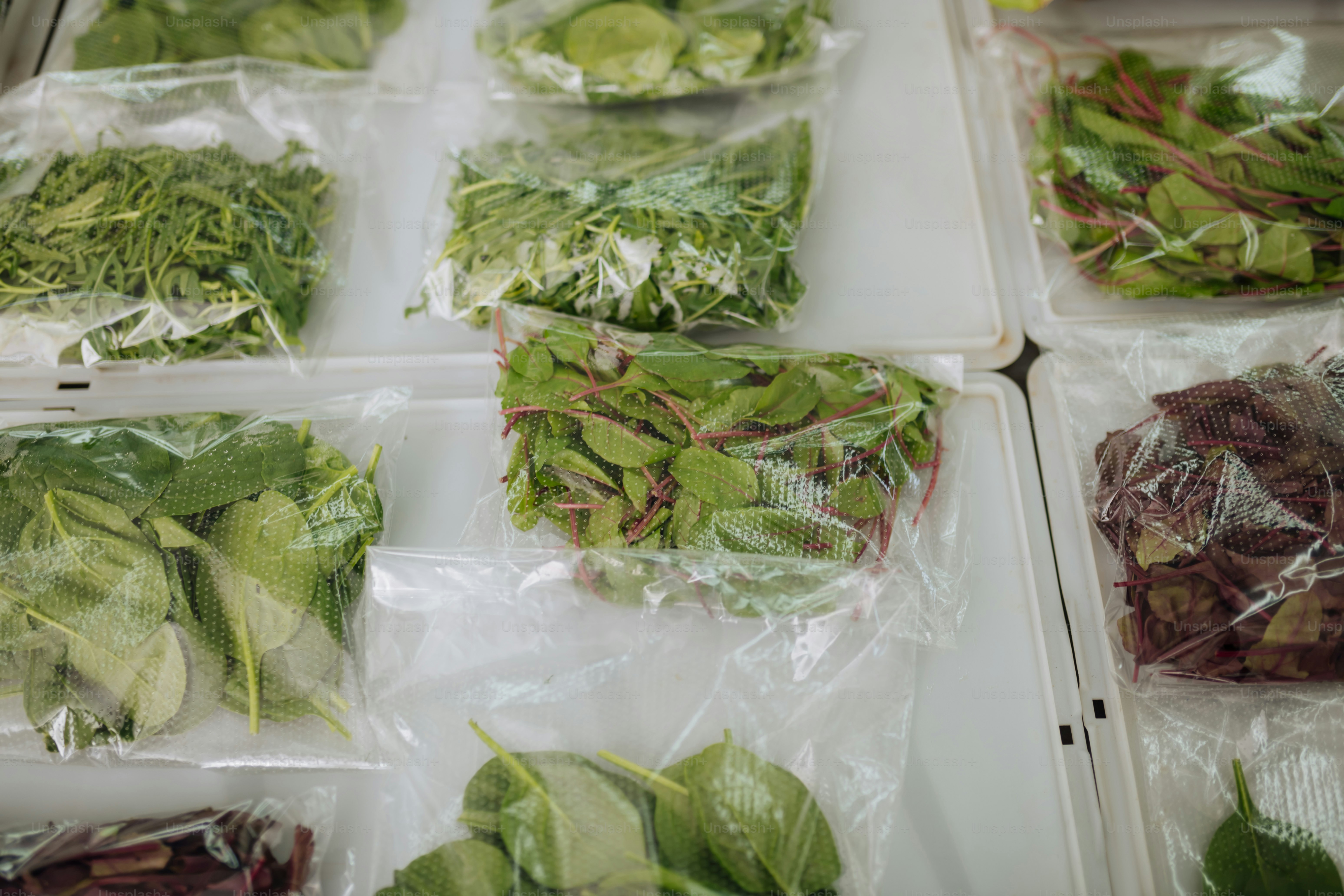 Variety of greens. Top view of great variety of nice greens lying in ...
