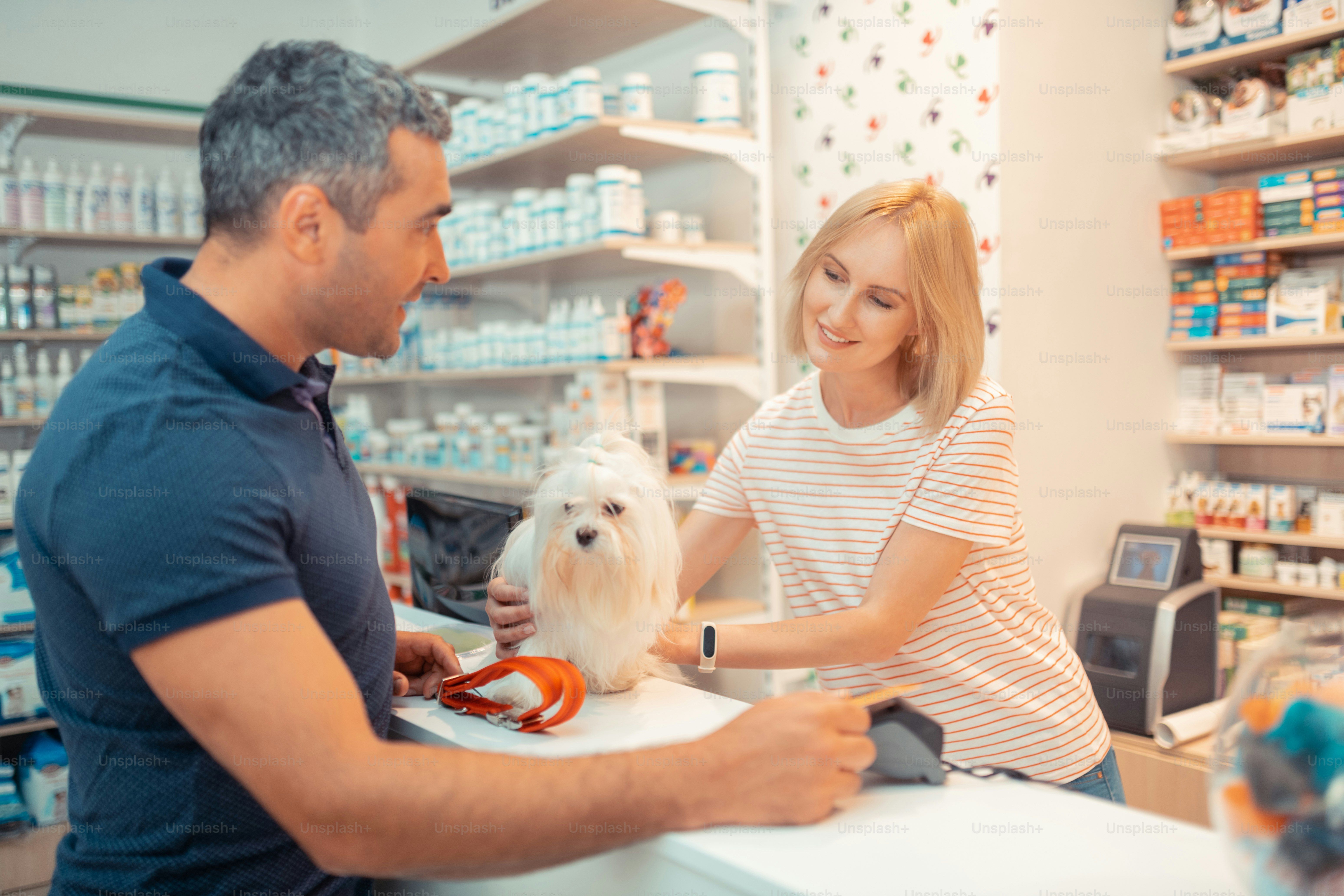 New owner. Cashier wearing smart watch giving white fluffy dog to her ...