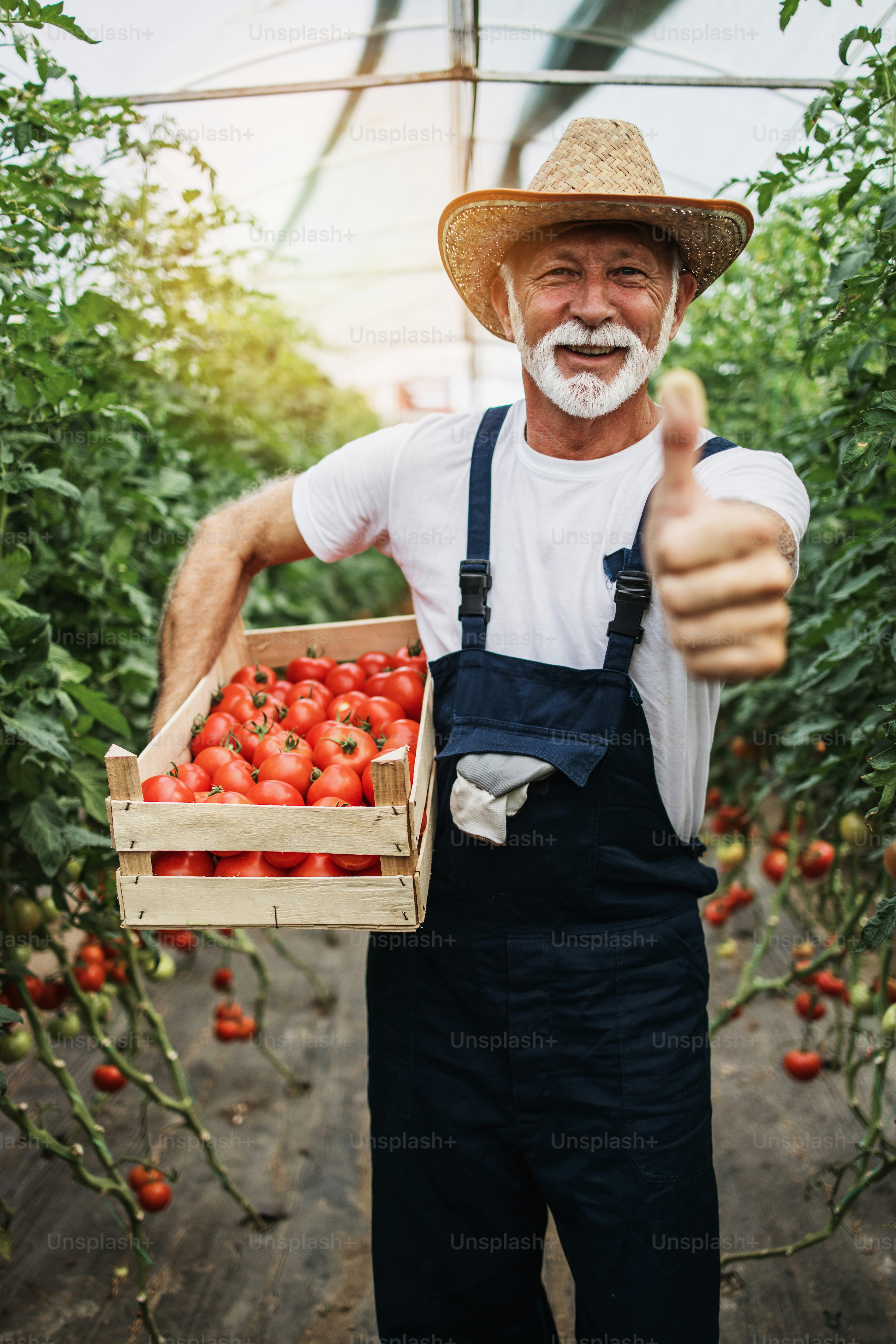 Happy Farmers Pictures | Download Free Images on Unsplash