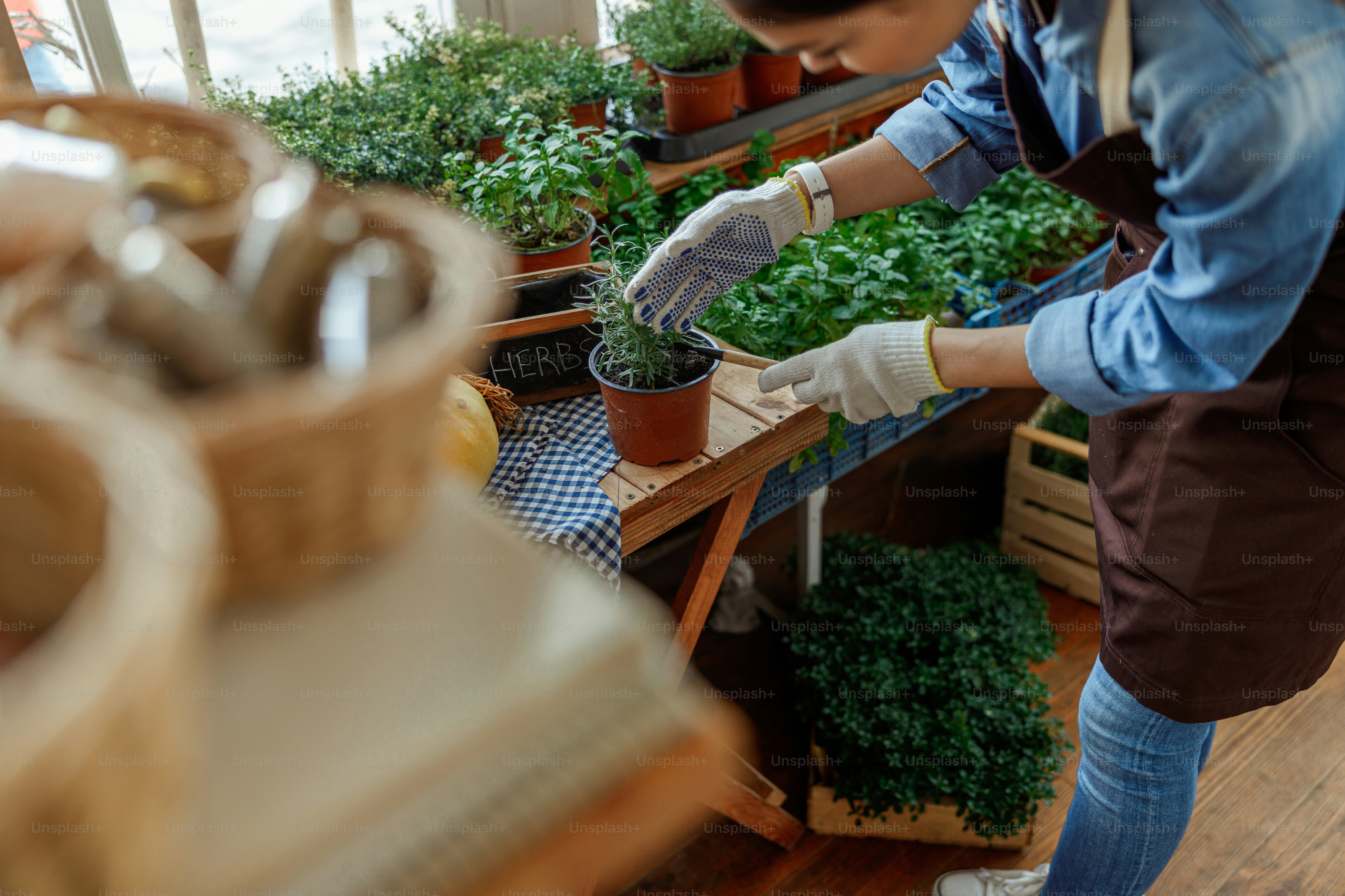 Cropped photo of a Caucasian female horticulturist leaning over a ...