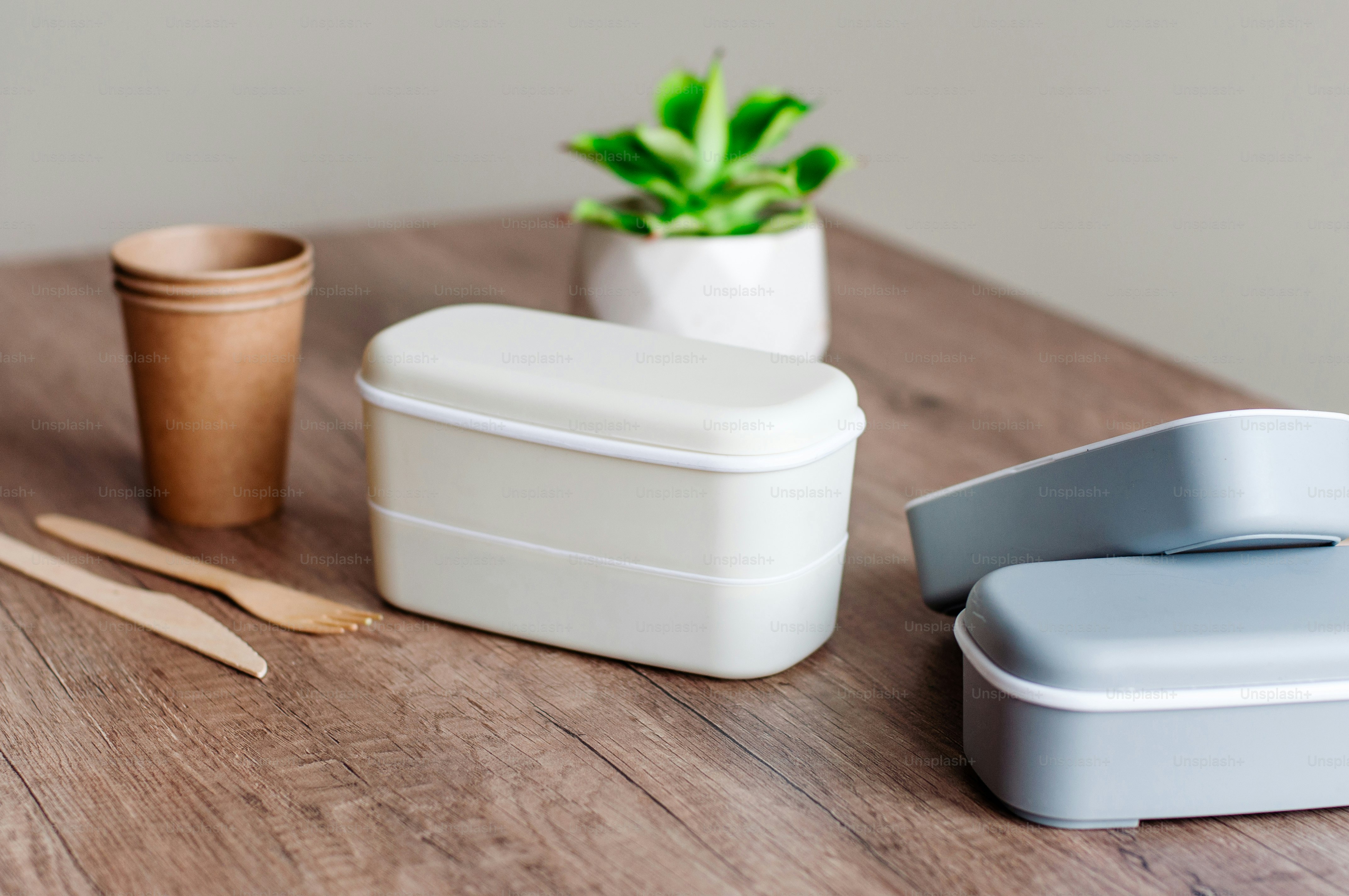 Bento Box Pictures | Download Free Images on Unsplash