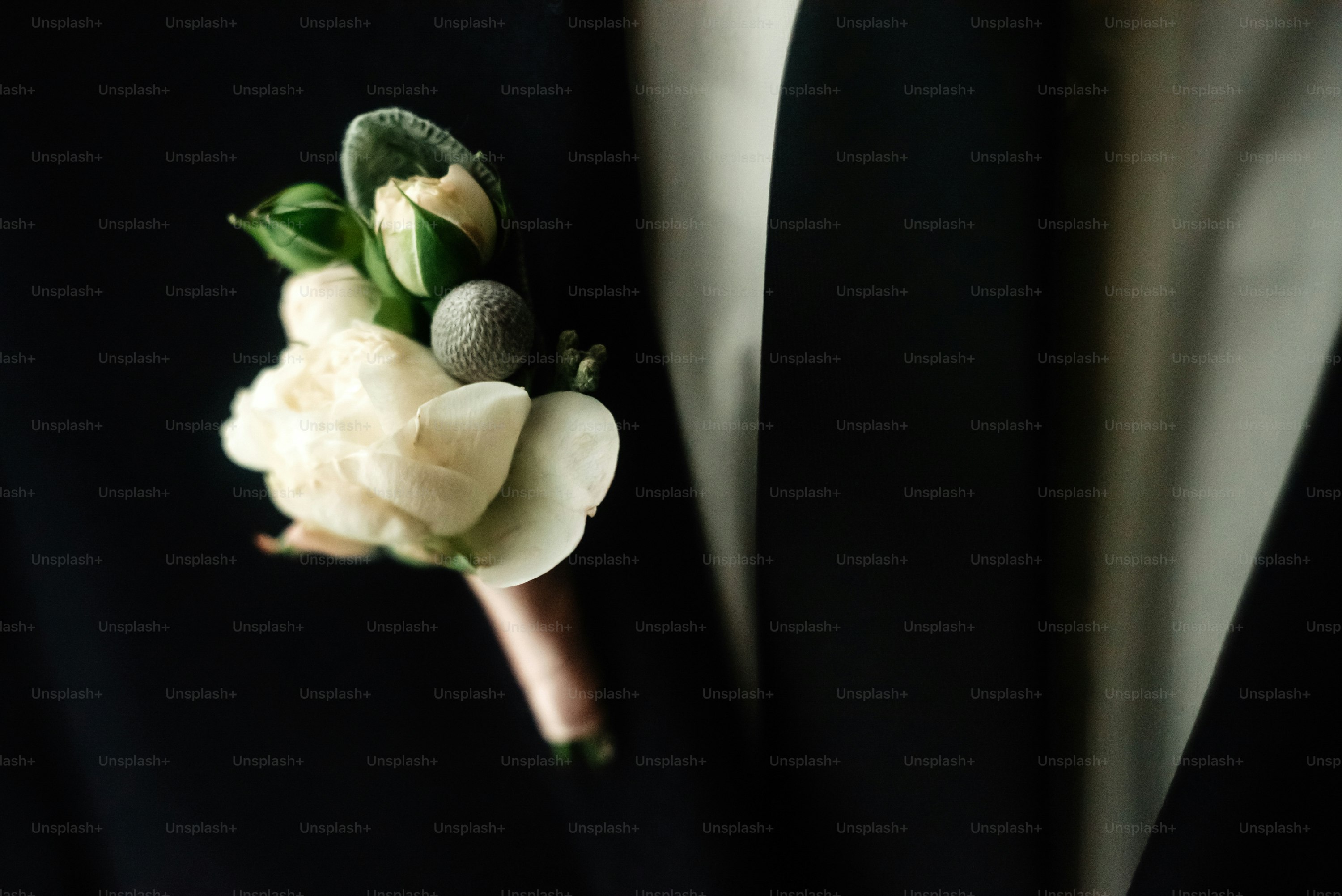 Wedding Event Pictures | Download Free Images on Unsplash