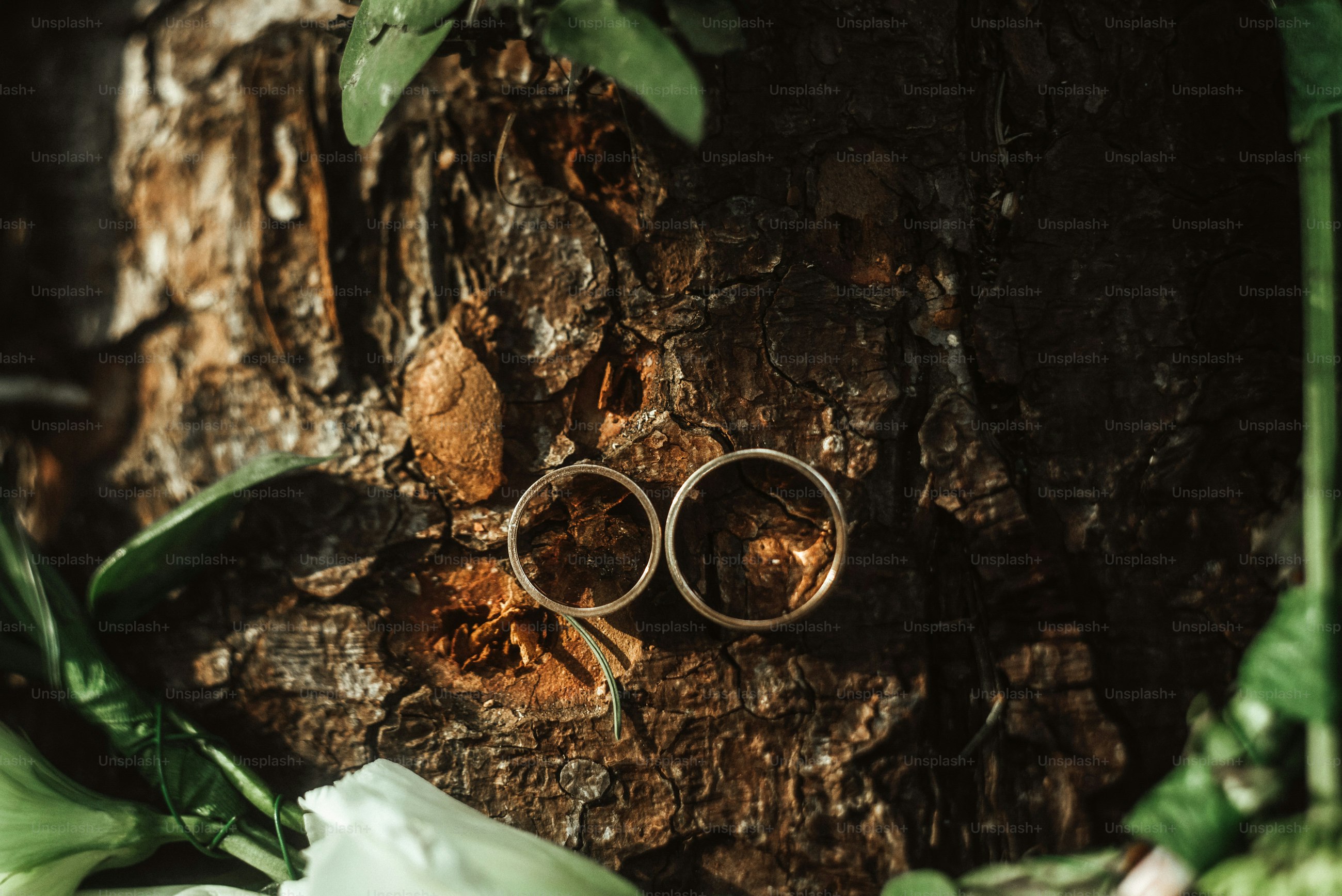 Amazing stylish wedding rings near a rustic wreath on a tree in the ...