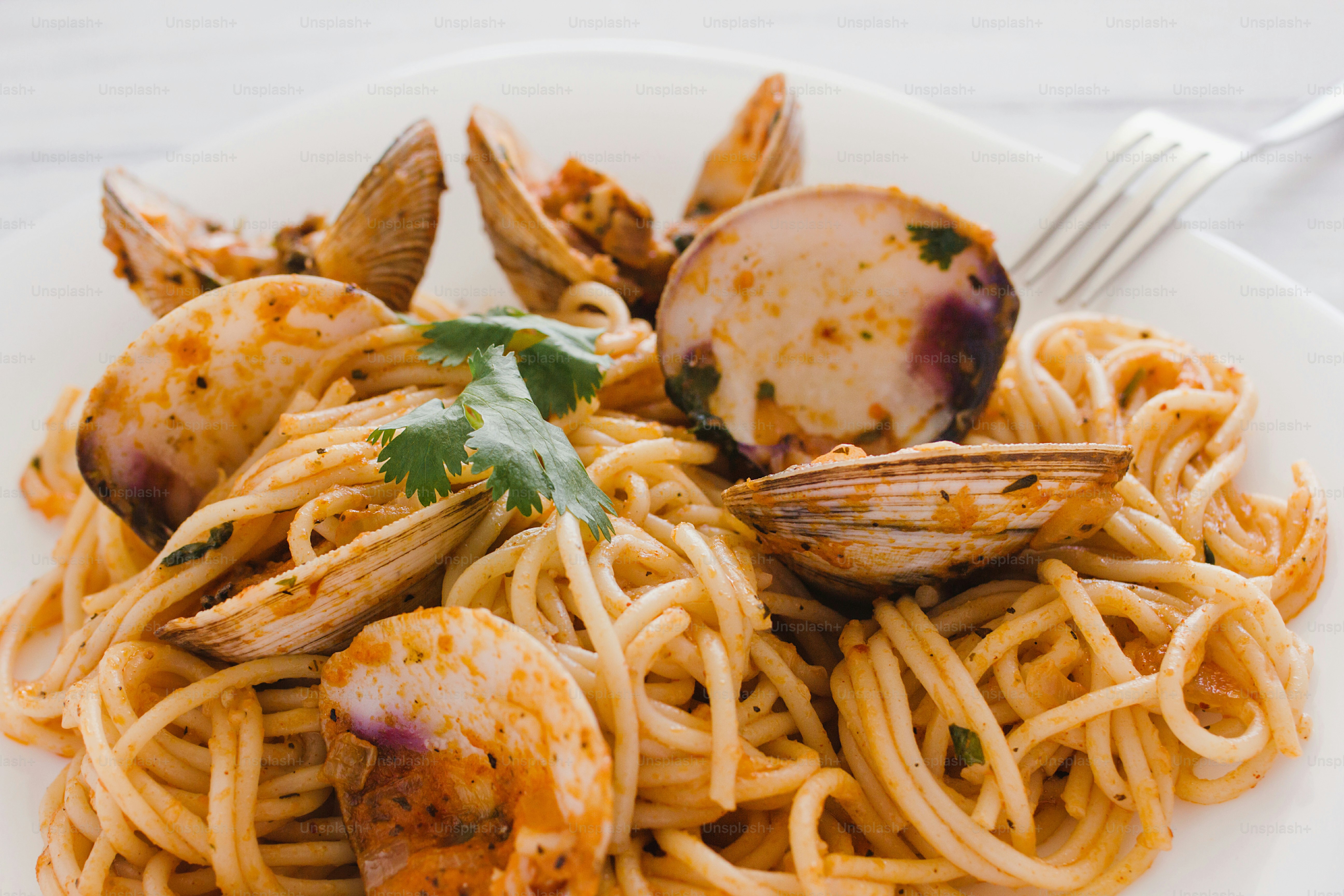 Spaghetti with clams and tomato sauce, Spaghetti Vongole photo – Clams ...