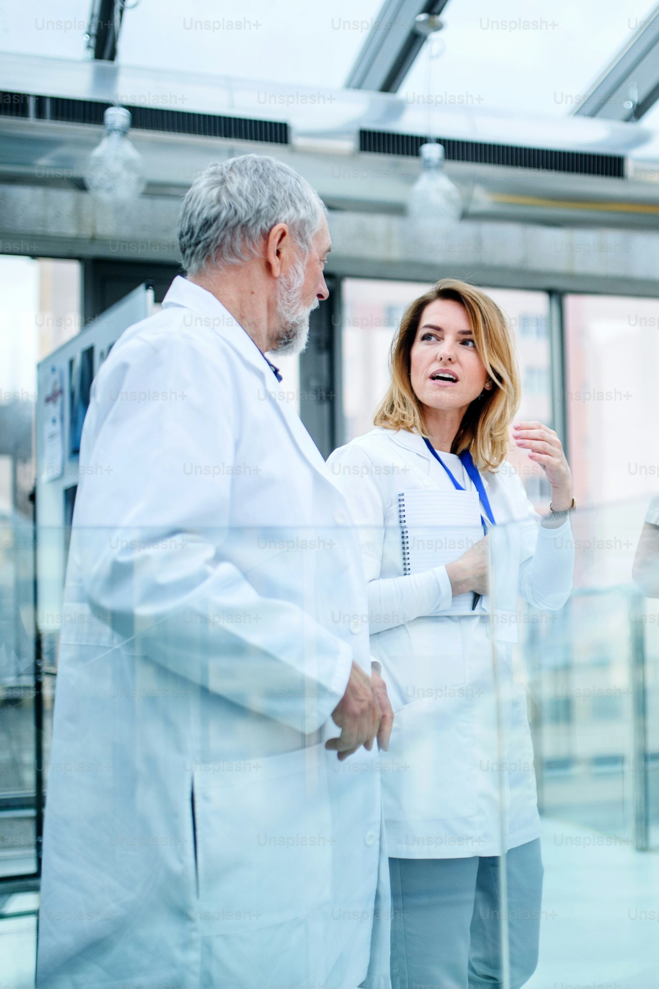 Group of doctors standing on conference, front view portrait of medical ...