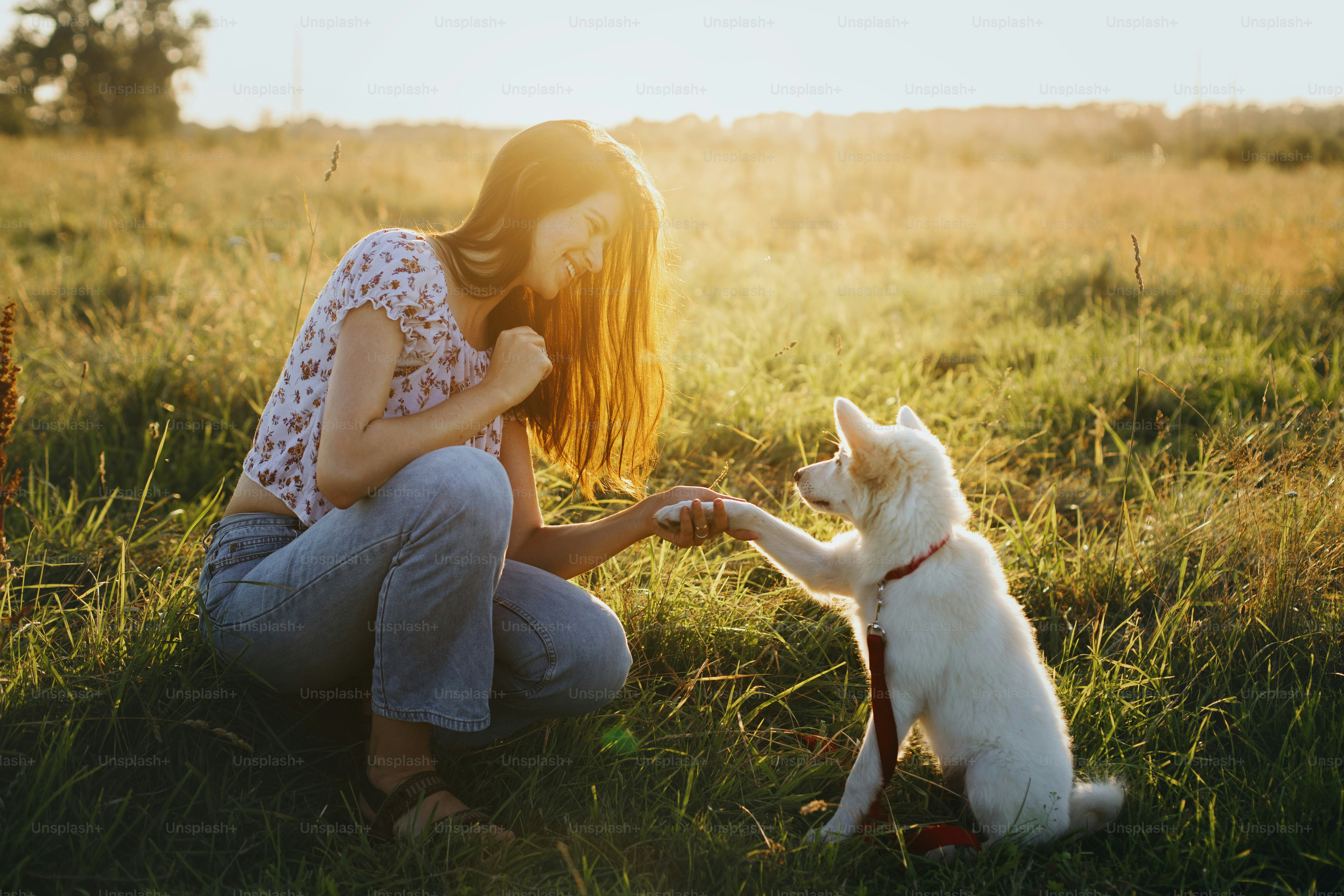 Adorable fluffy puppy giving paw to girl owner and having treat. Woman ...