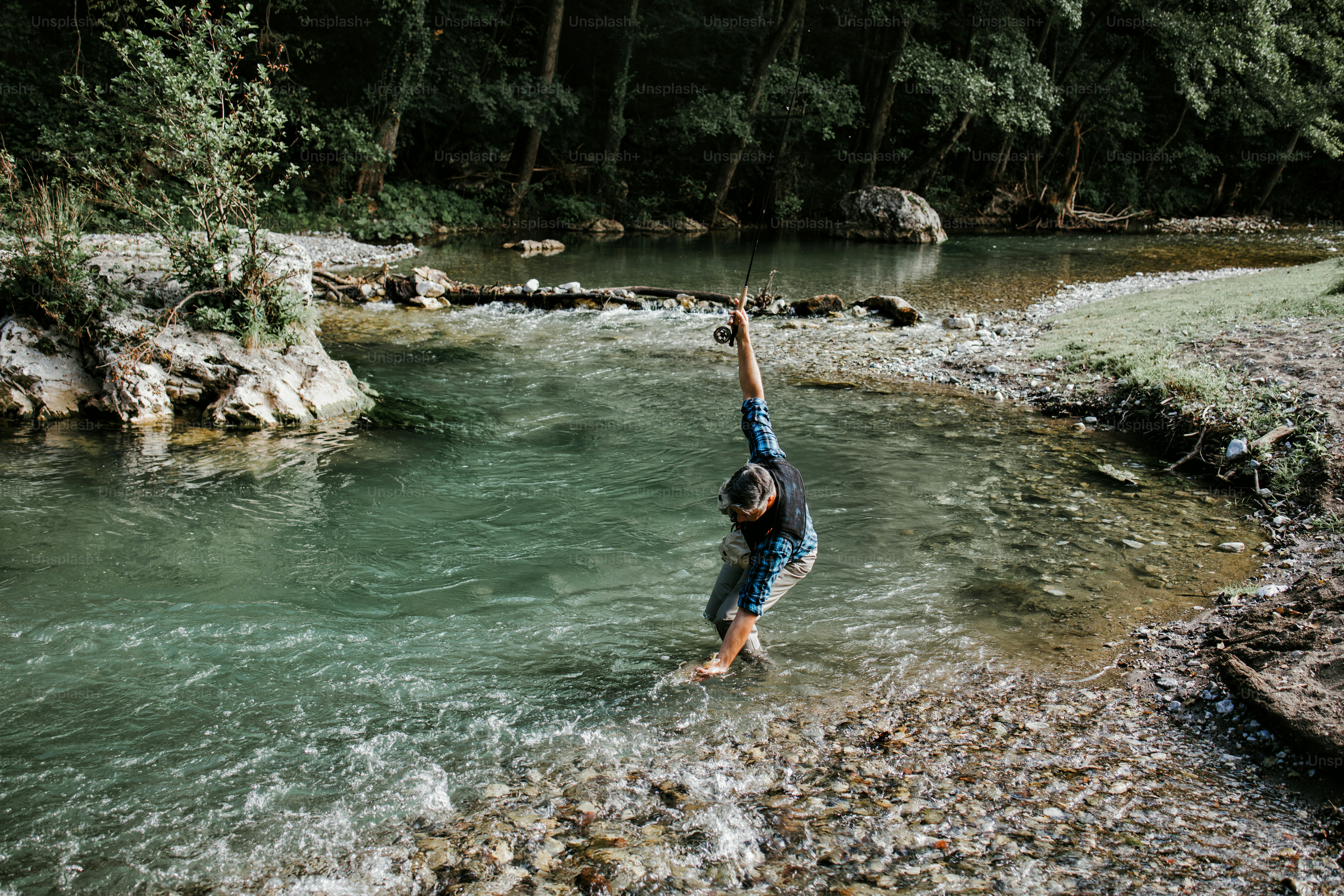 Poisson De Roche Photos | Télécharger des images gratuites sur Unsplash