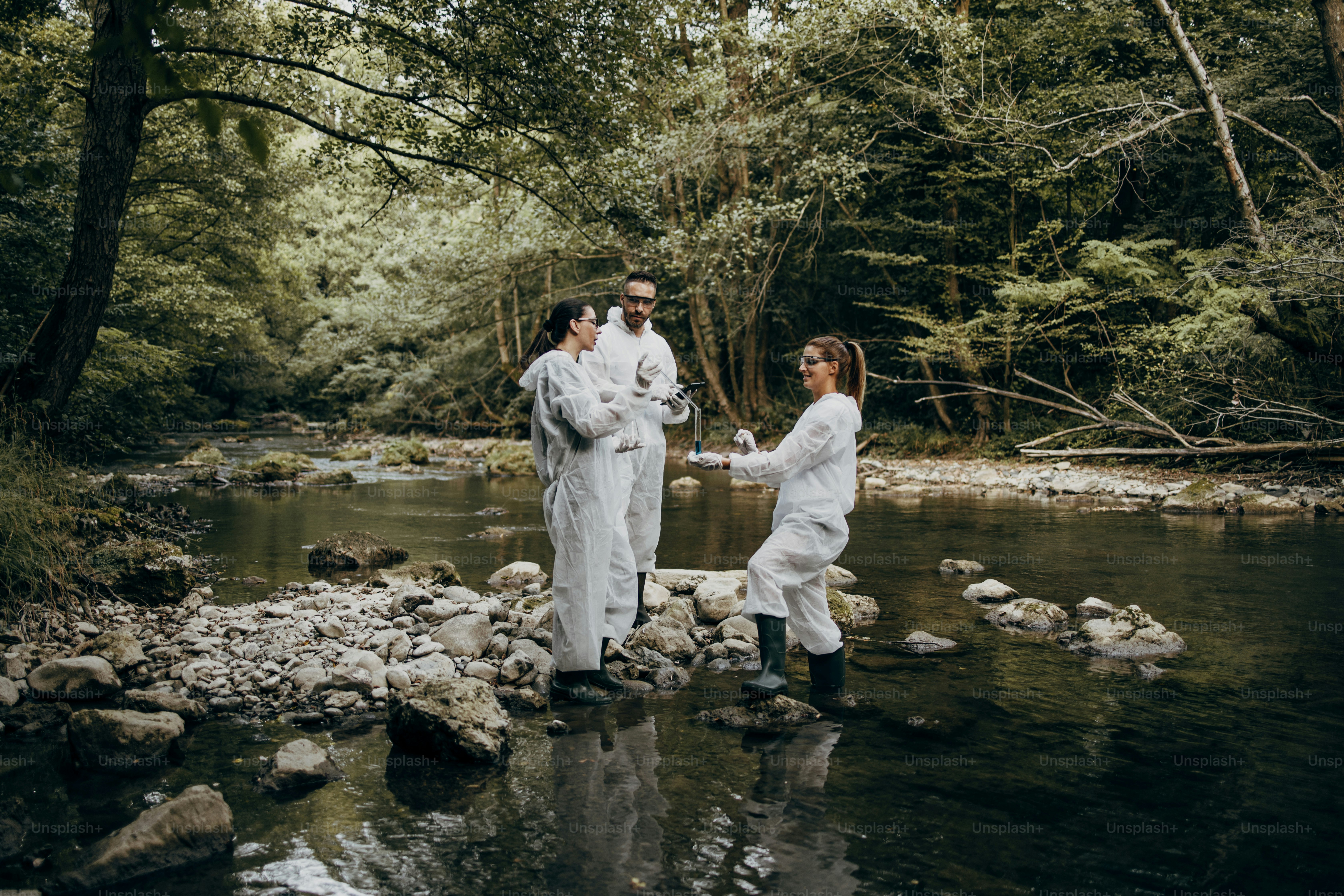 Foto zum Thema Ein Team von Wissenschaftlern und Biologen erforscht Möglichkeiten der ...