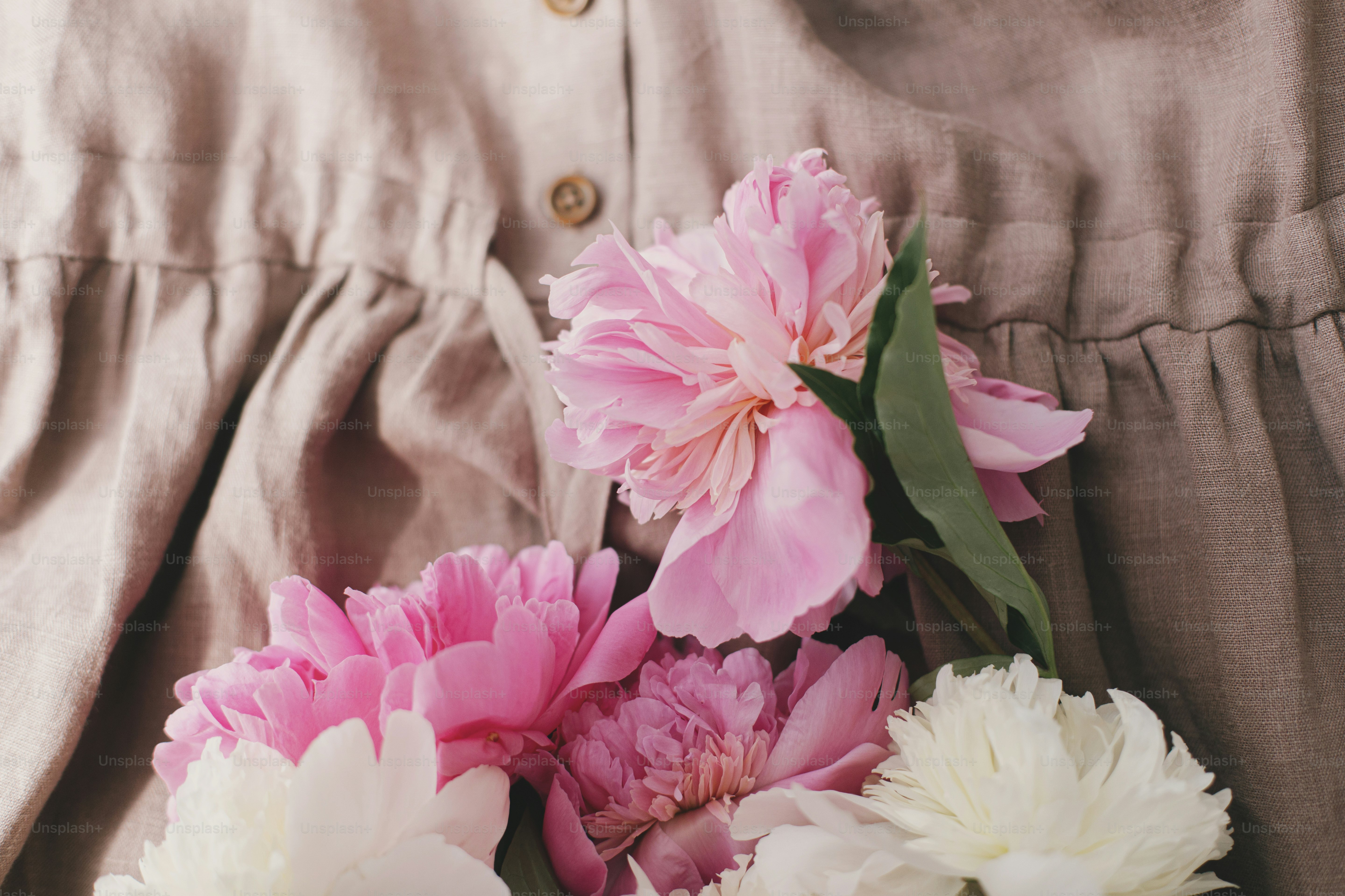 Beautiful peonies on rustic linen dress in soft sunny light in room ...