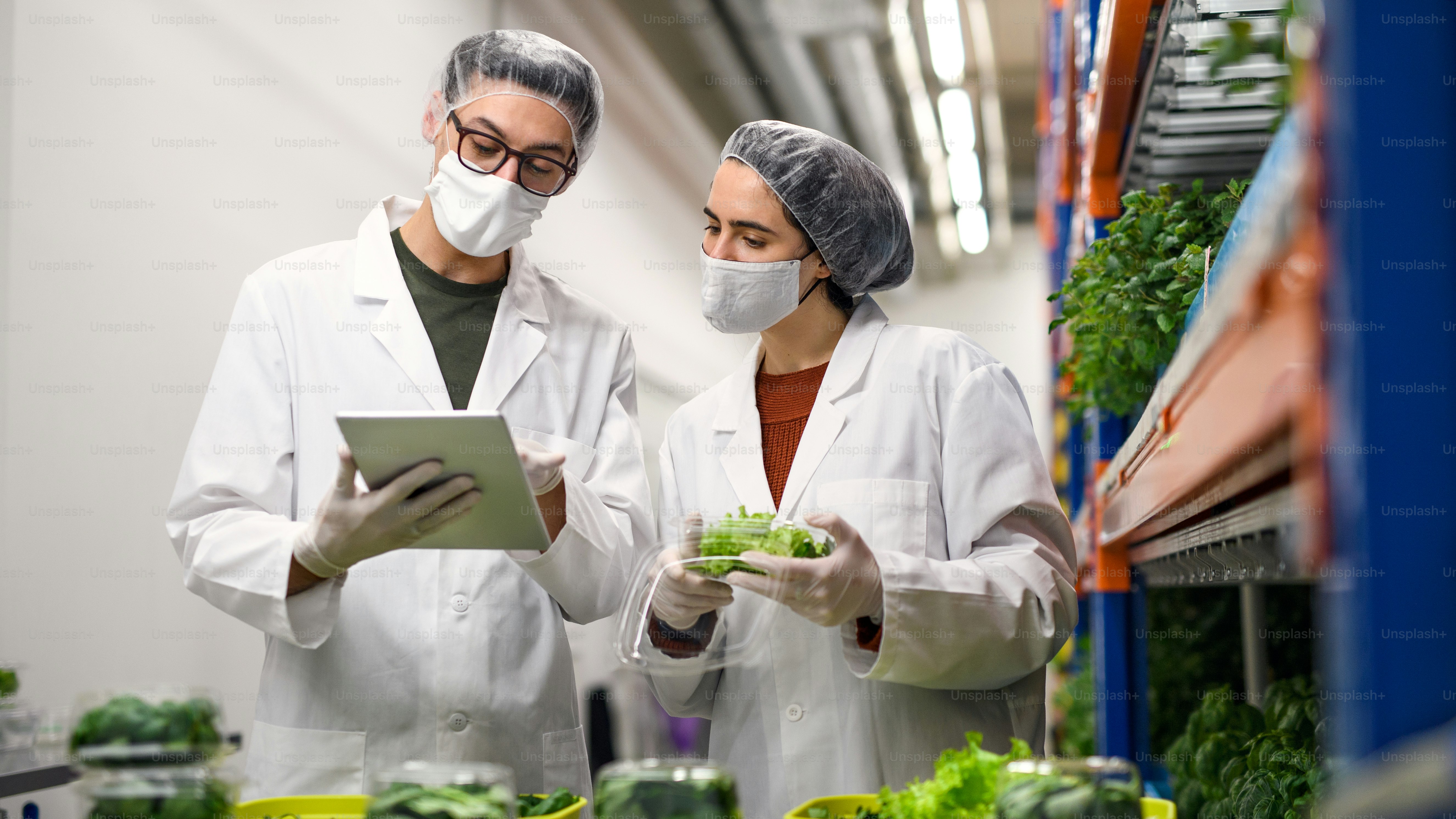 Freshness Pictures | Download Free Images on Unsplash