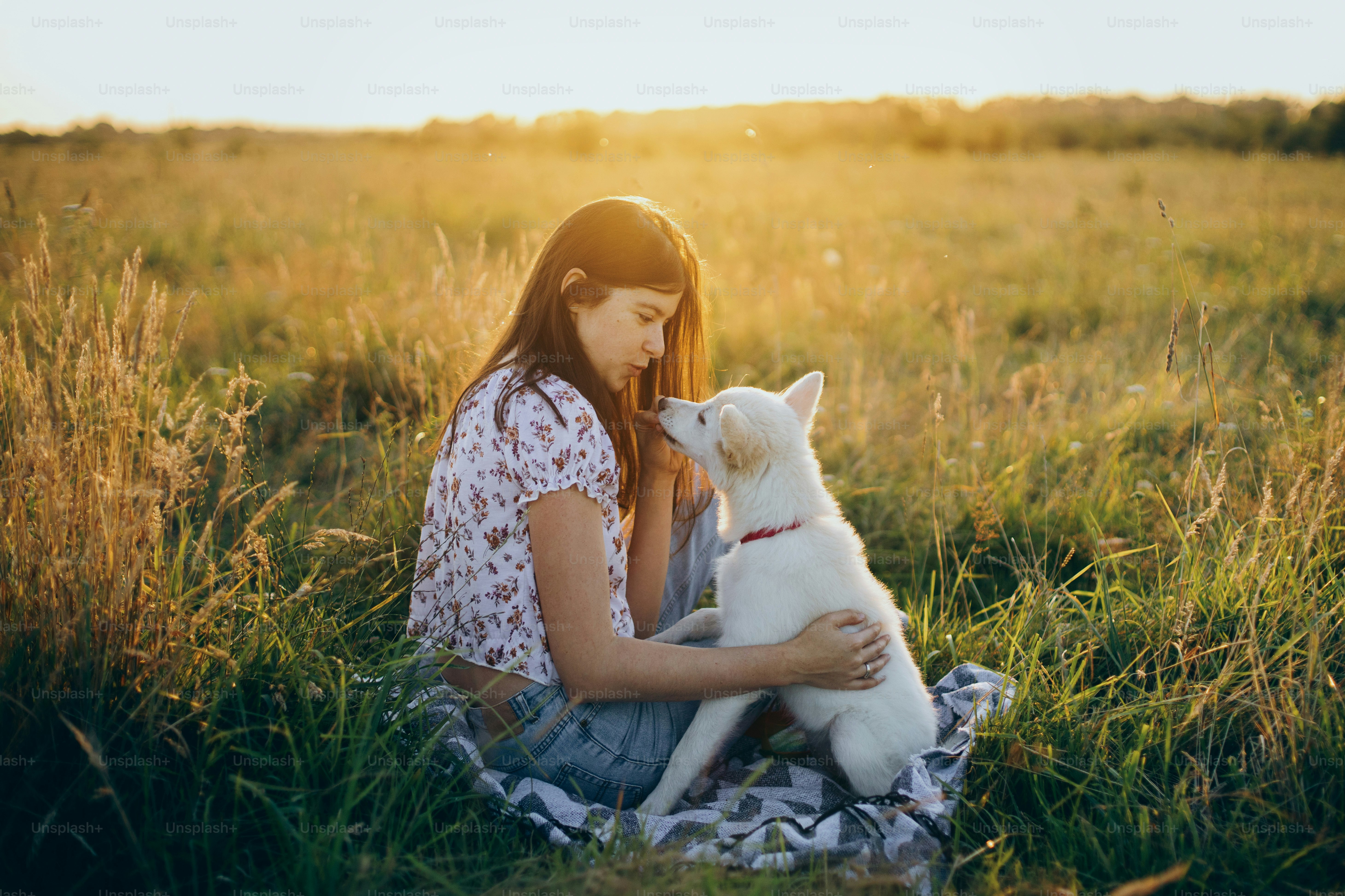 Happy woman training cute white puppy to behave in summer meadow in sunset light. Stylish casual ...