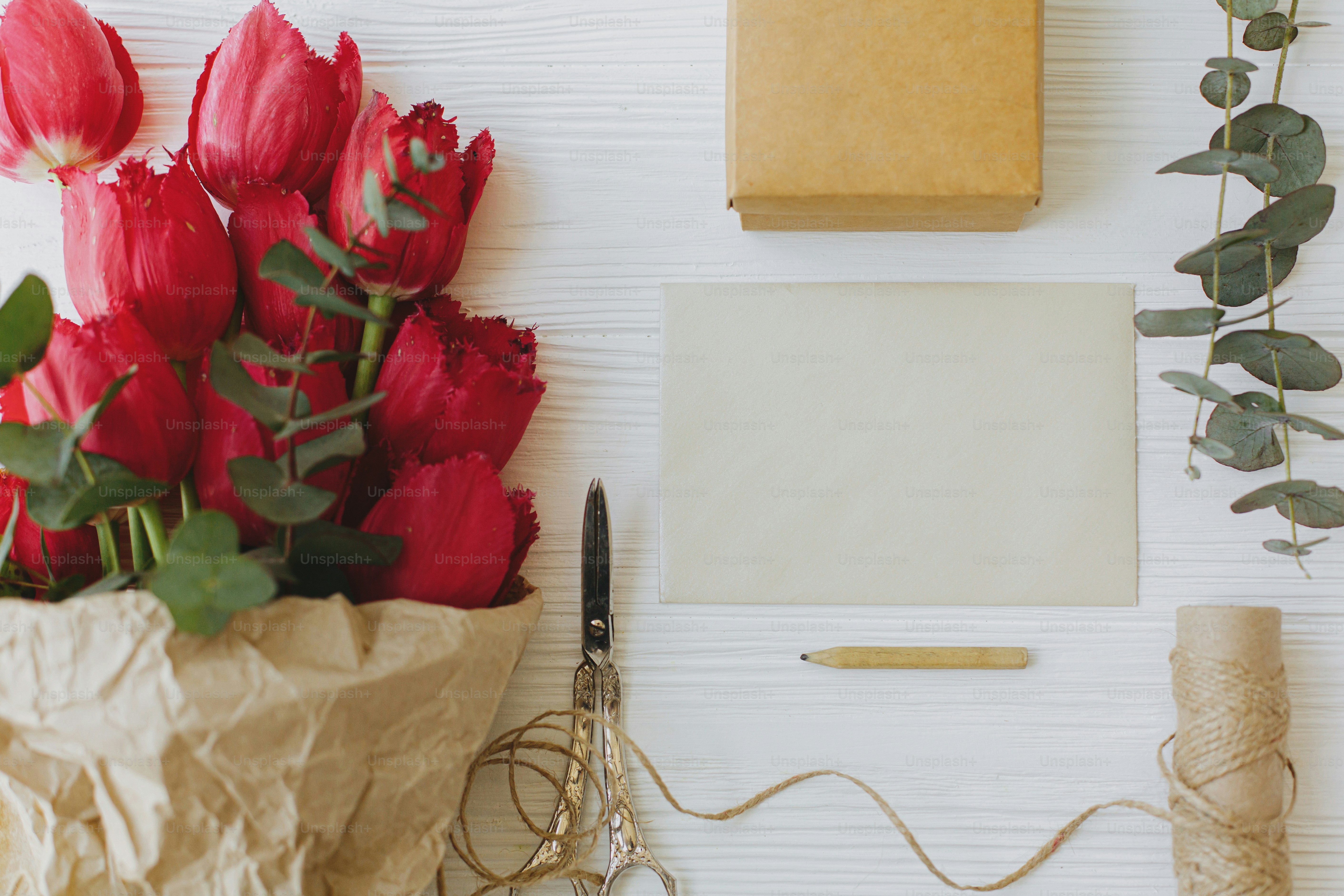 500+ Greeting Card Pictures [HD] | Download Free Images on Unsplash