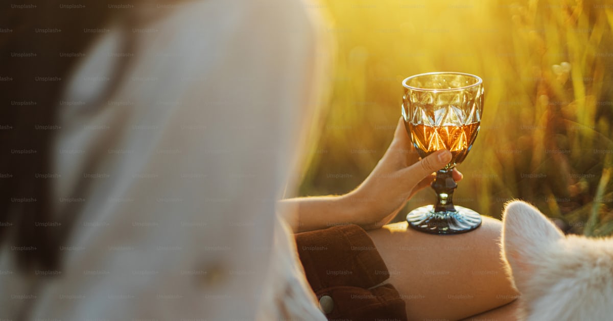暖かい夕日の光の中で夏の牧草地の草の背景に女性の手のワイングラスがクローズアップ。 夏休みとピクニック。ワインと白い犬を飲みながらリラックス