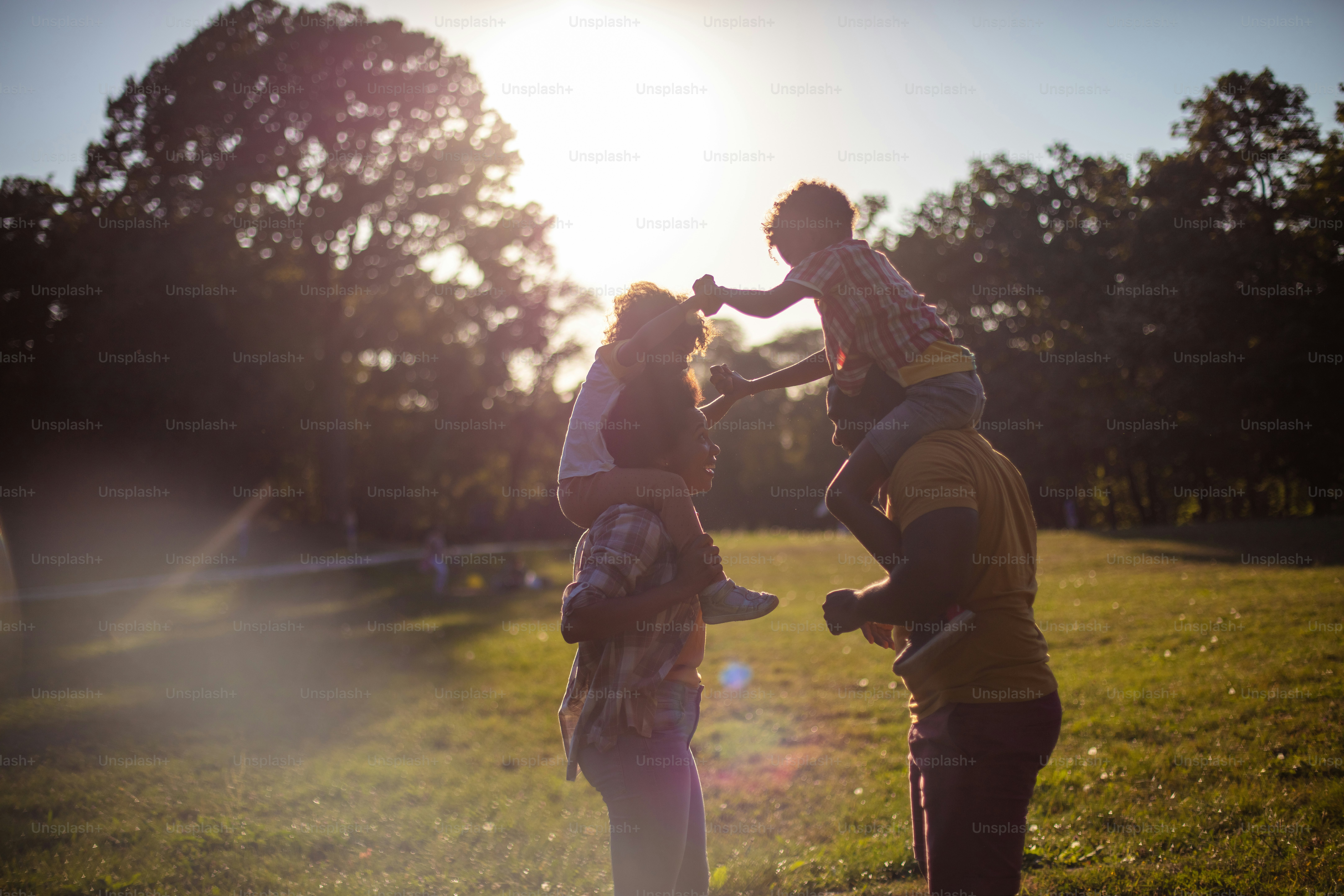 Light Flare Pictures | Download Free Images on Unsplash
