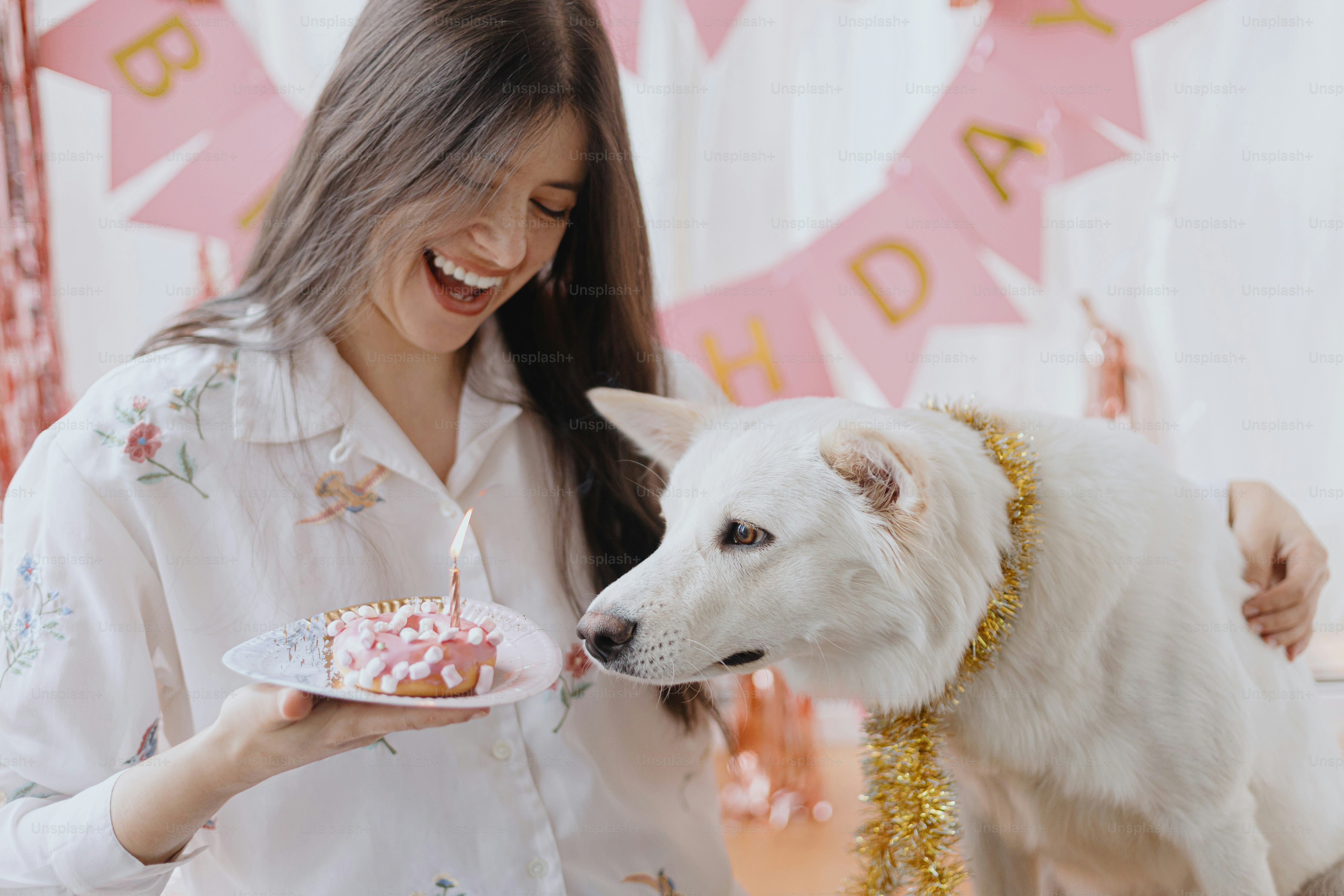 Foto Fiesta de cumpleaños de perros. Feliz joven celebrando el primer ...