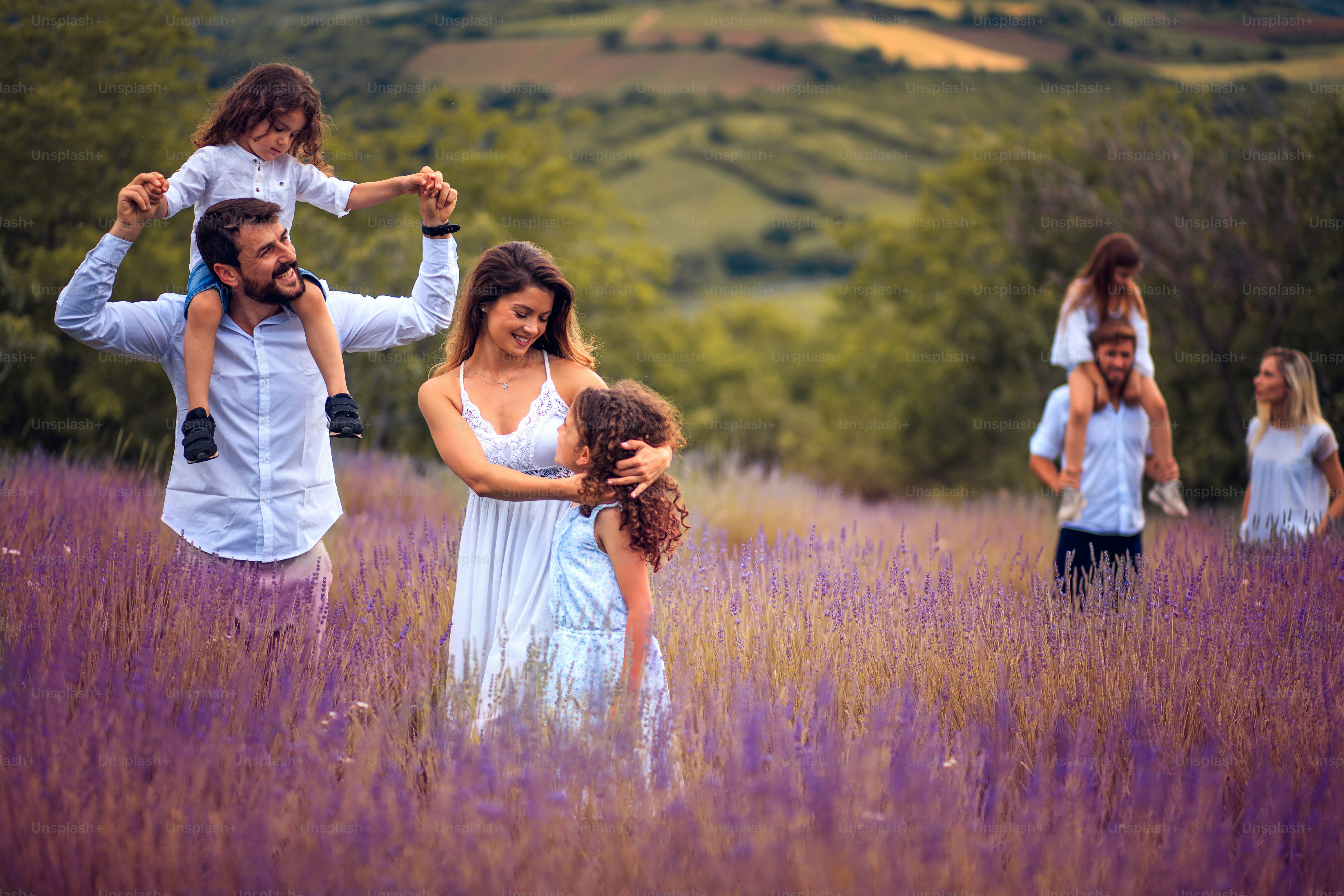 Large group of people in lavender field. Focus is on foreground. photo ...