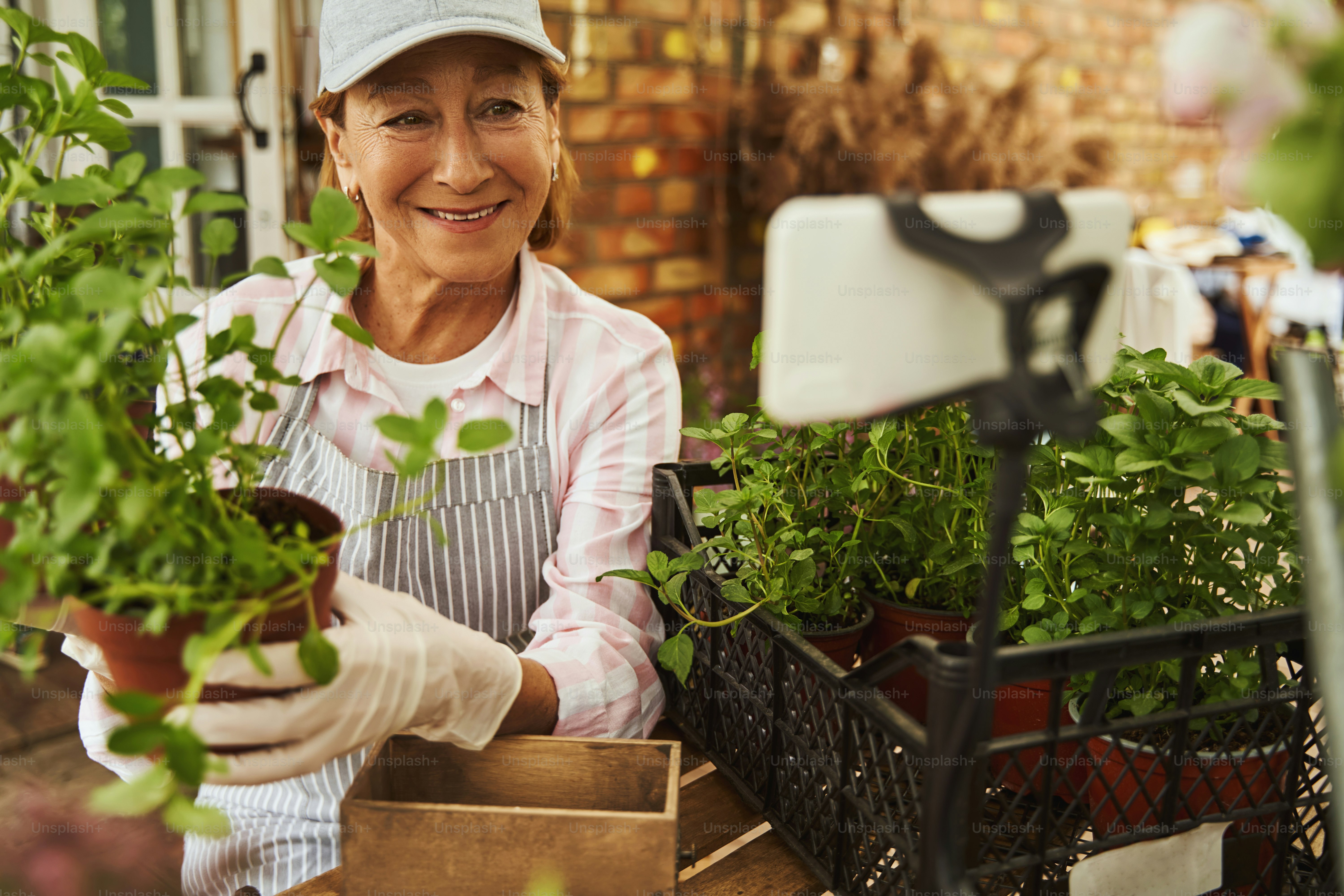 Cheerful mature female in cap is holding pot with growing plant while ...
