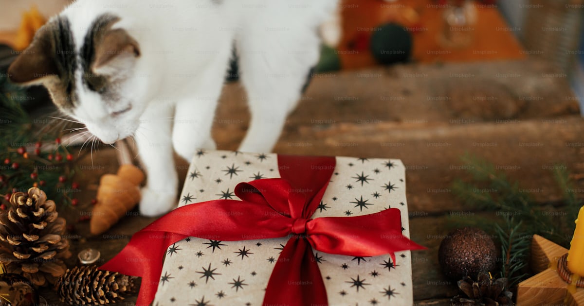 素朴な木製のテーブルの上で赤いリボンとお祝いの休日の装飾でスタイリッシュなクリスマスプレゼントで遊んでいるかわいい子猫。ペットと冬の休暇