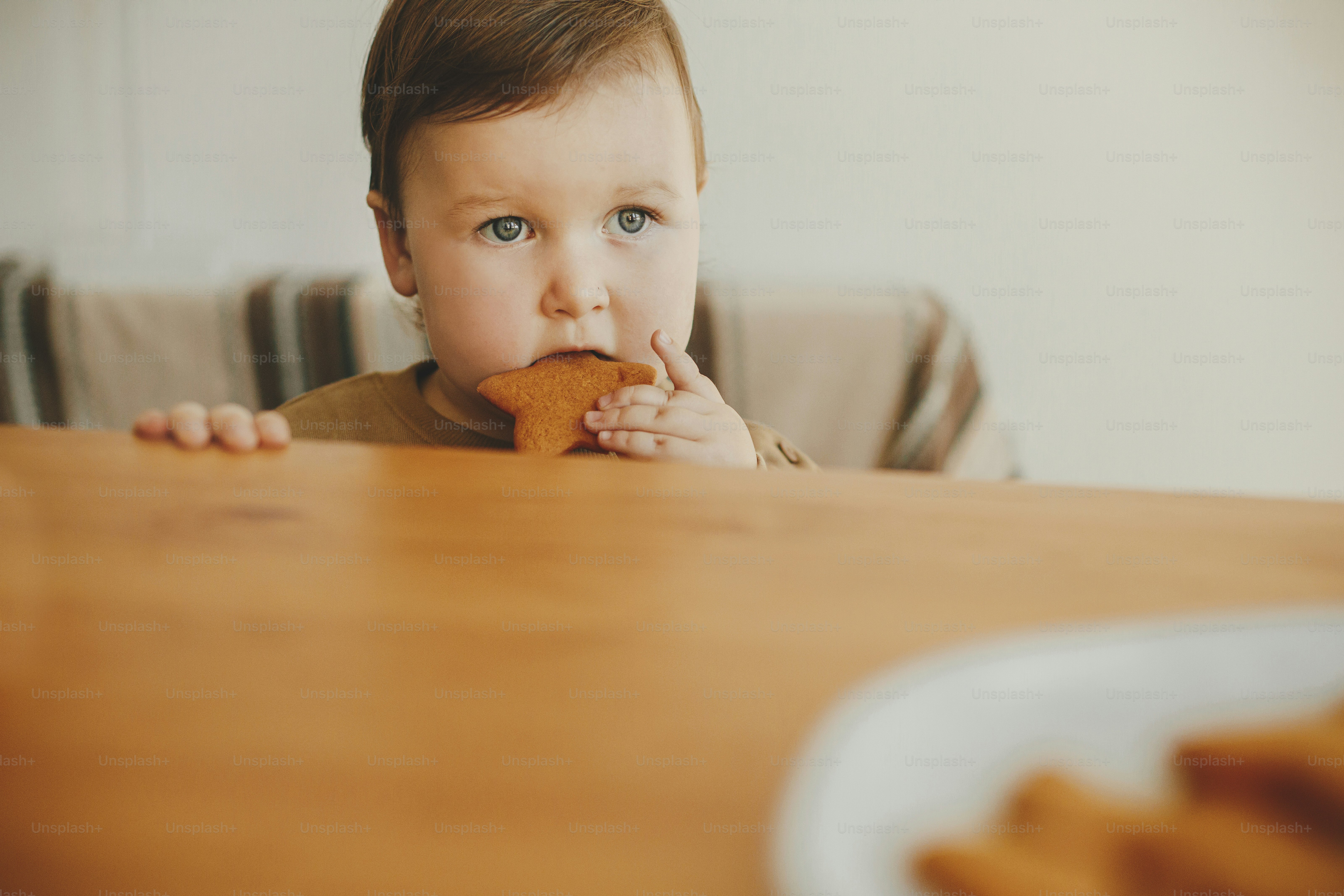 Cute little girl eating freshly baked gingerbread cookie close up ...