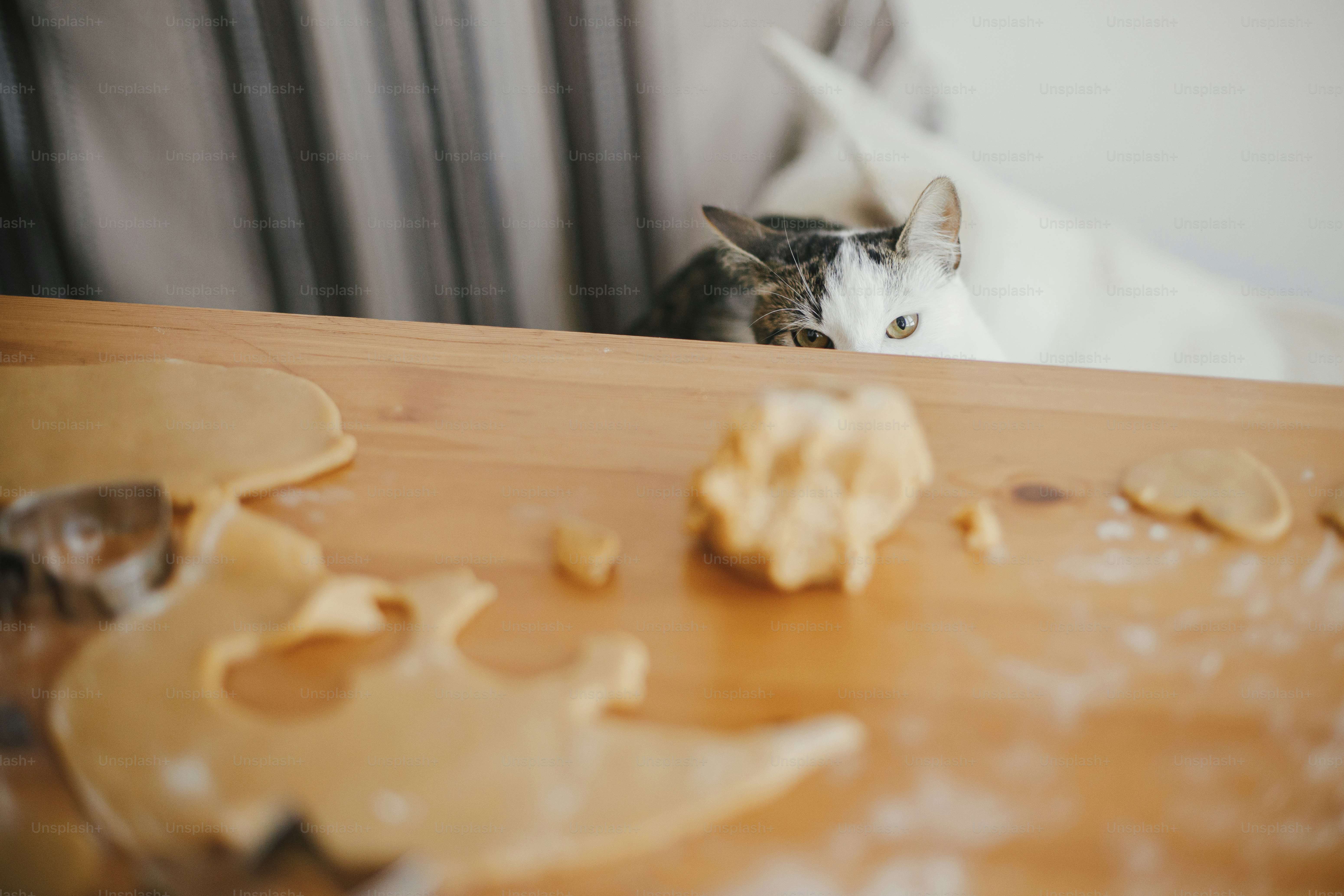 Adorable kitten looking at gingerbread cookies dough on wooden table in ...