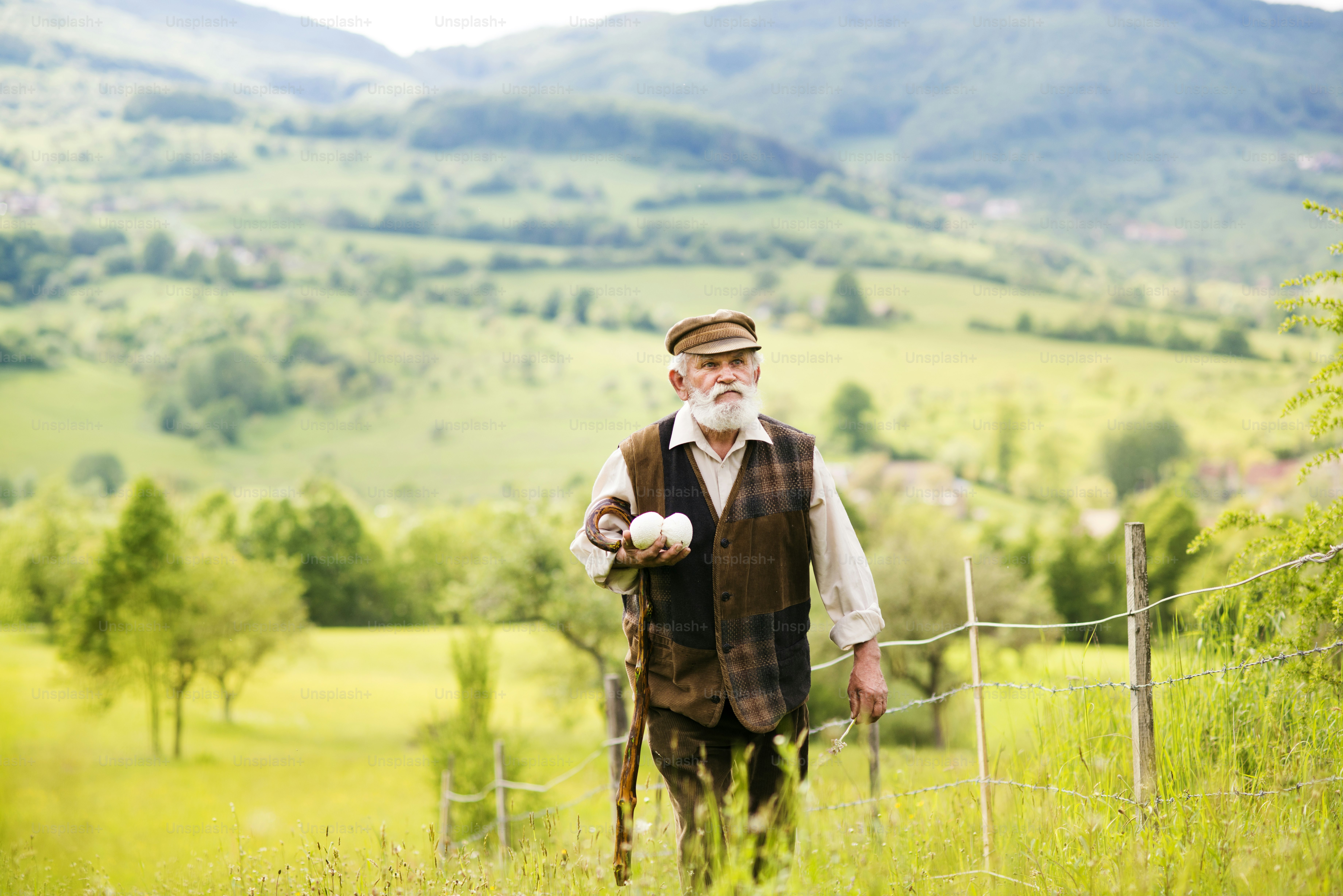 Vieux fermier avec barbe se promène dans la prairie photo – La nature ...