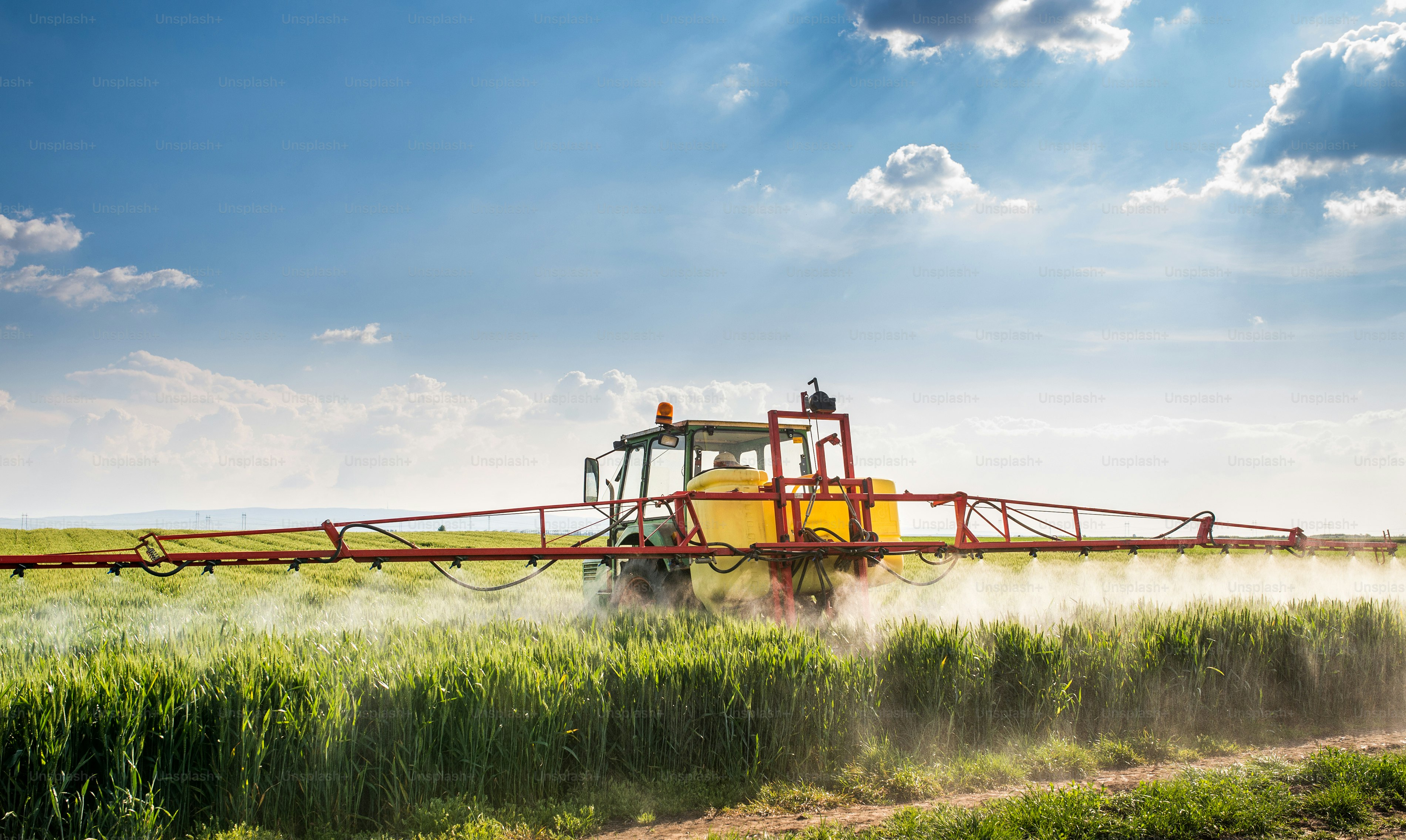 Tractor spraying wheat field with sprayer photo – Wheat Image on Unsplash