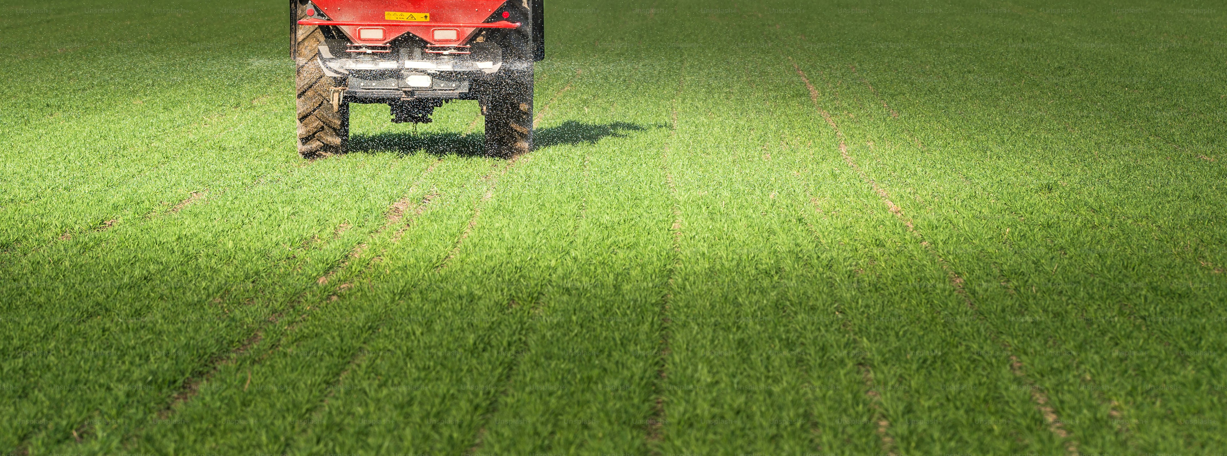 Tractor fertilizing in wheat field photo – Agricultural field Image on ...