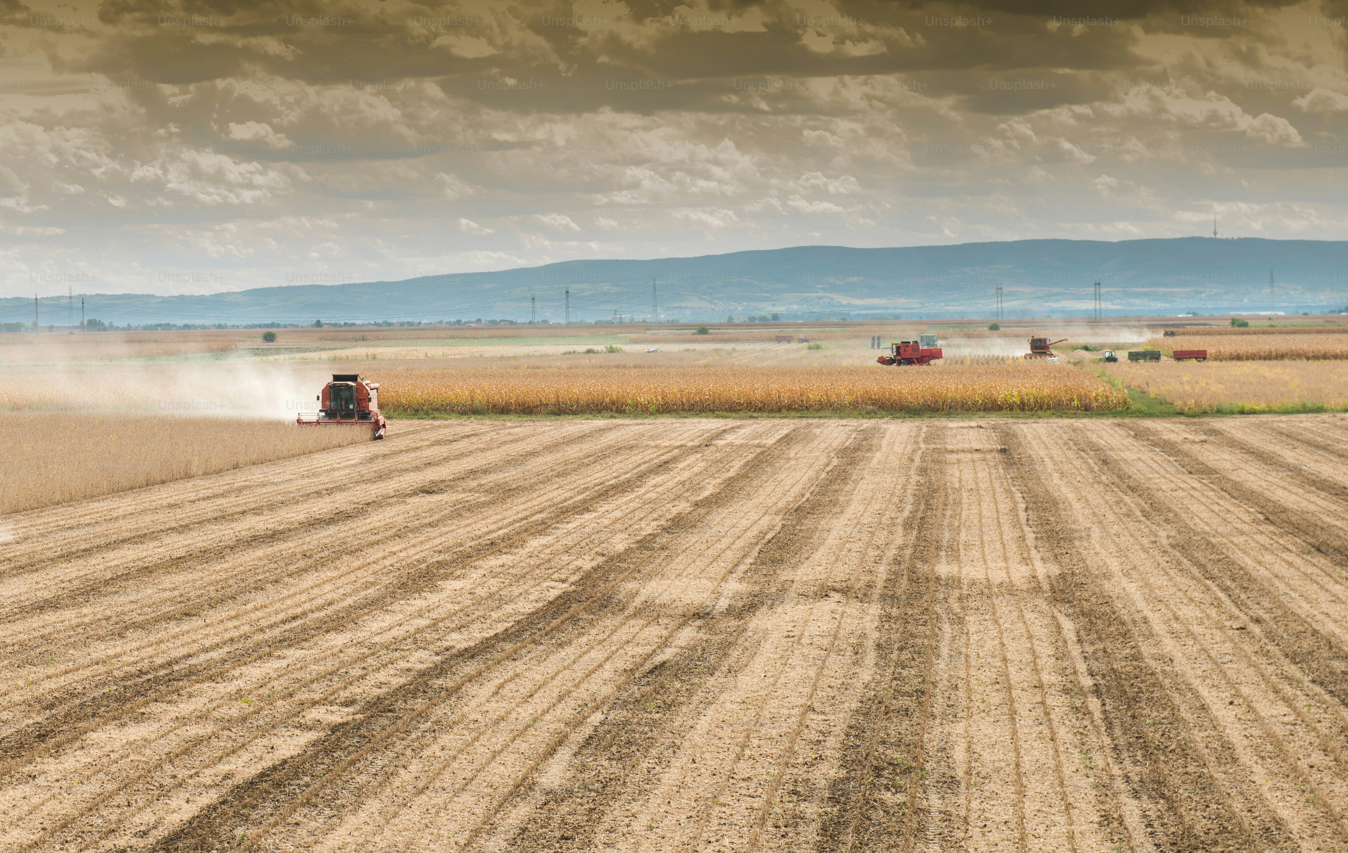 Harvesting of soy bean field with combine photo – Agriculture Image on ...