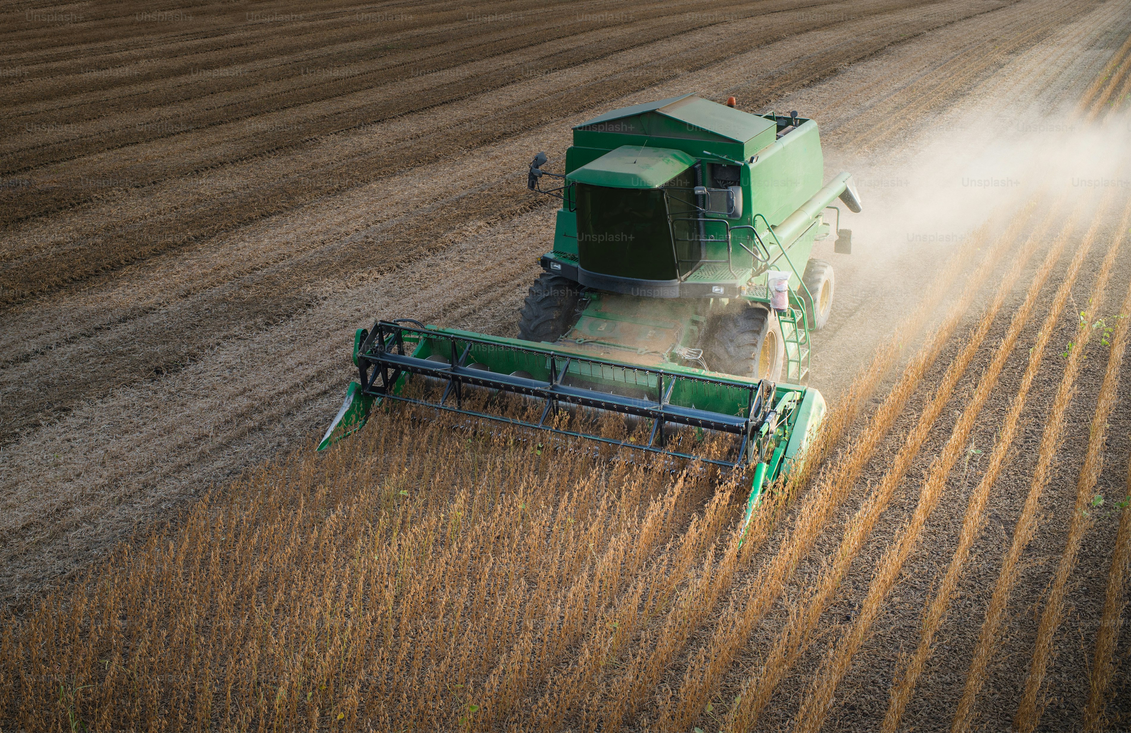 Harvesting of soy bean field with combine photo – Food Image on Unsplash