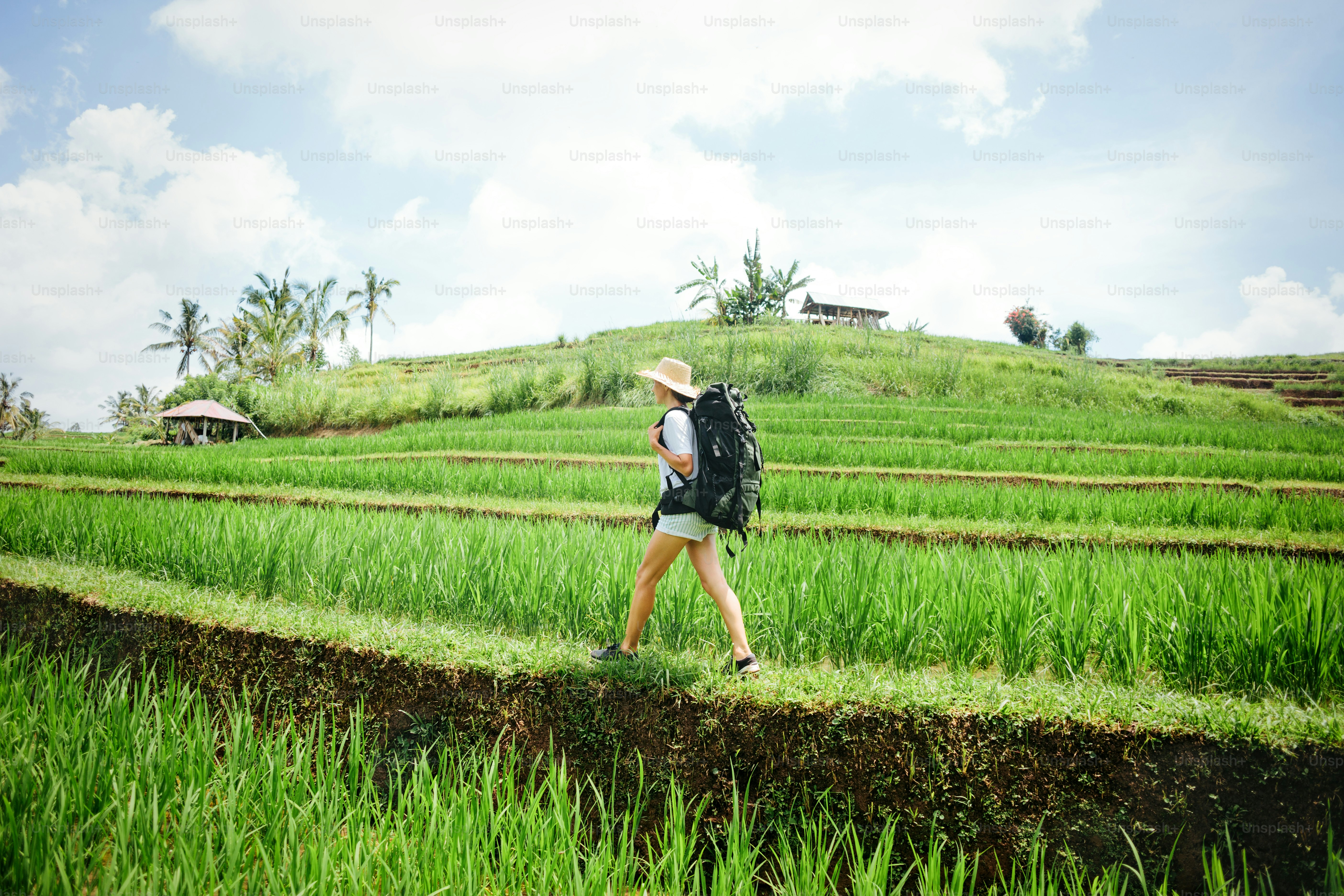 Woman with big backpack traveling at rice fields photo – Rice fields ...