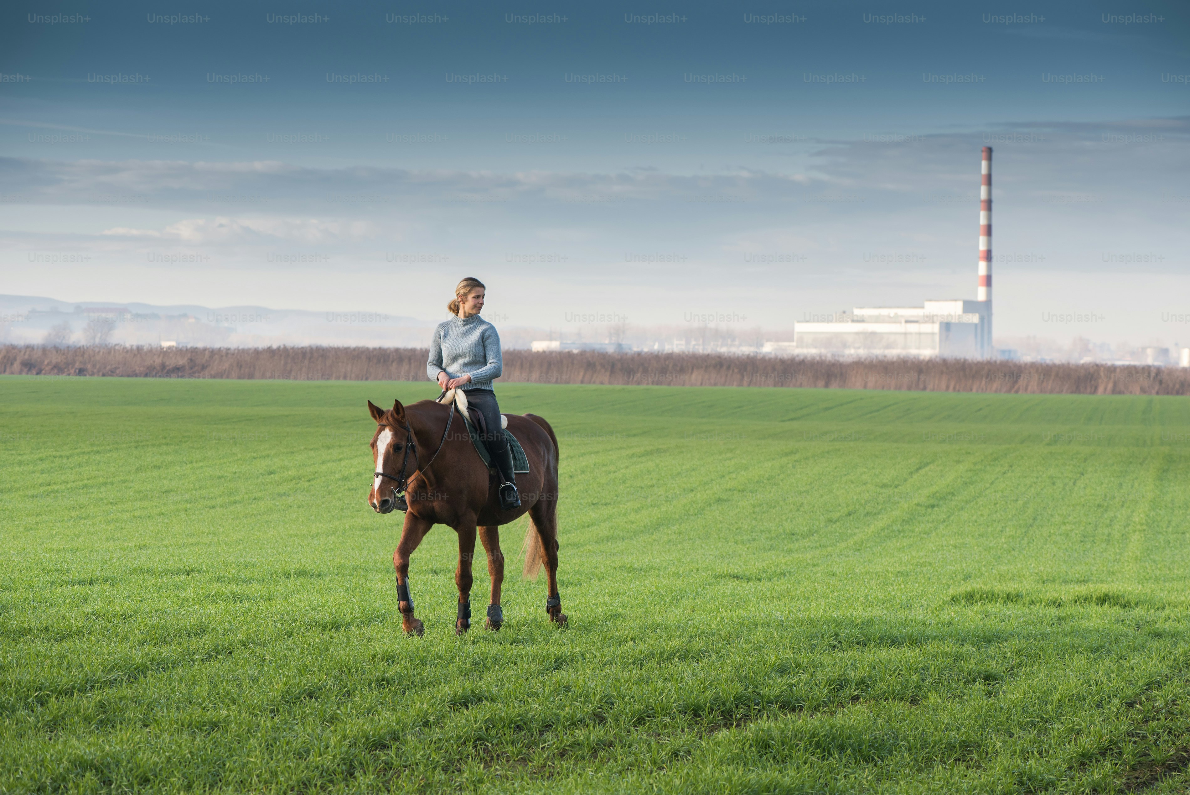 Young woman riding a horse in the countryside photo – Young adult Image on Unsplash