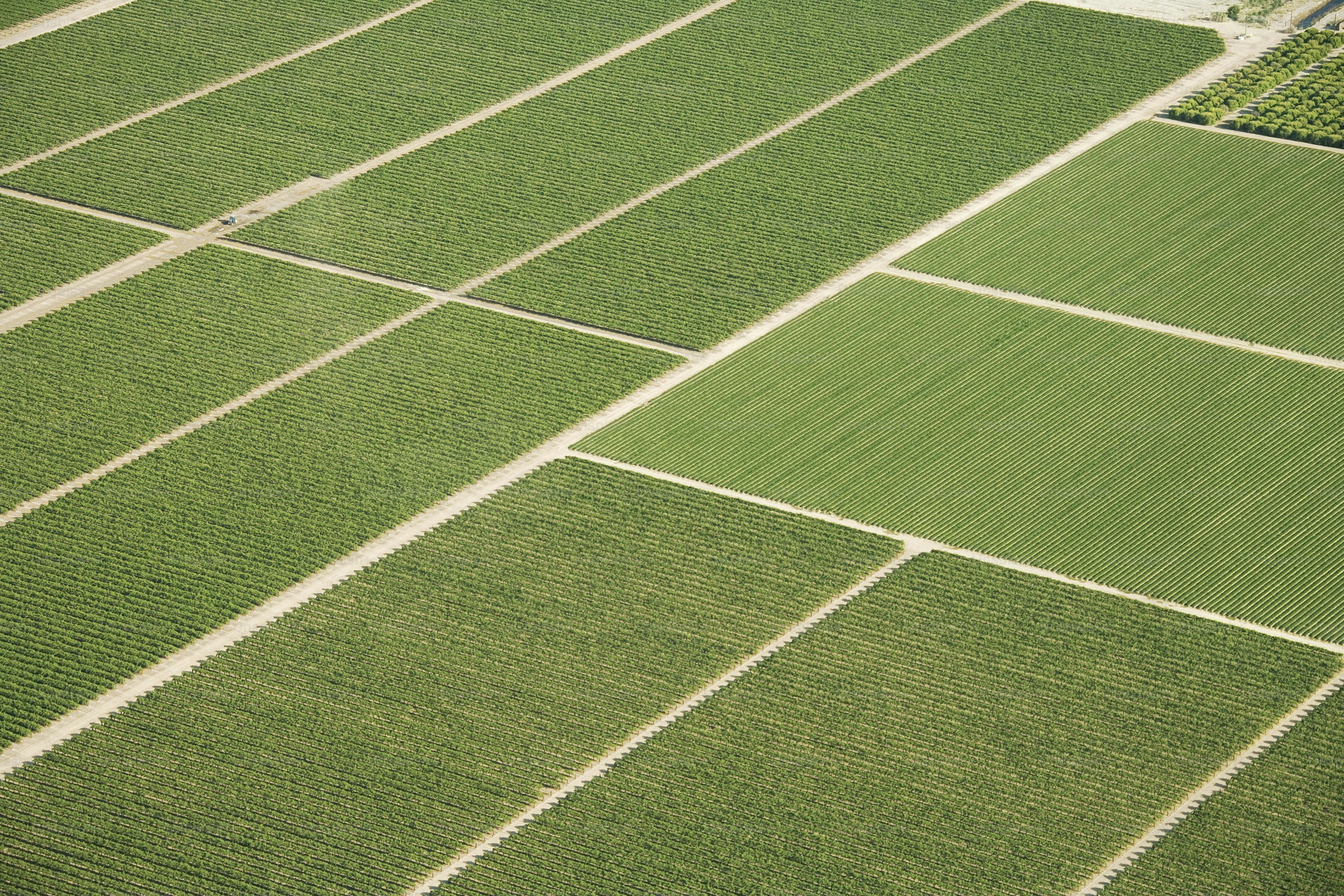 An aerial view of a large field of crops photo – Regenerative ...