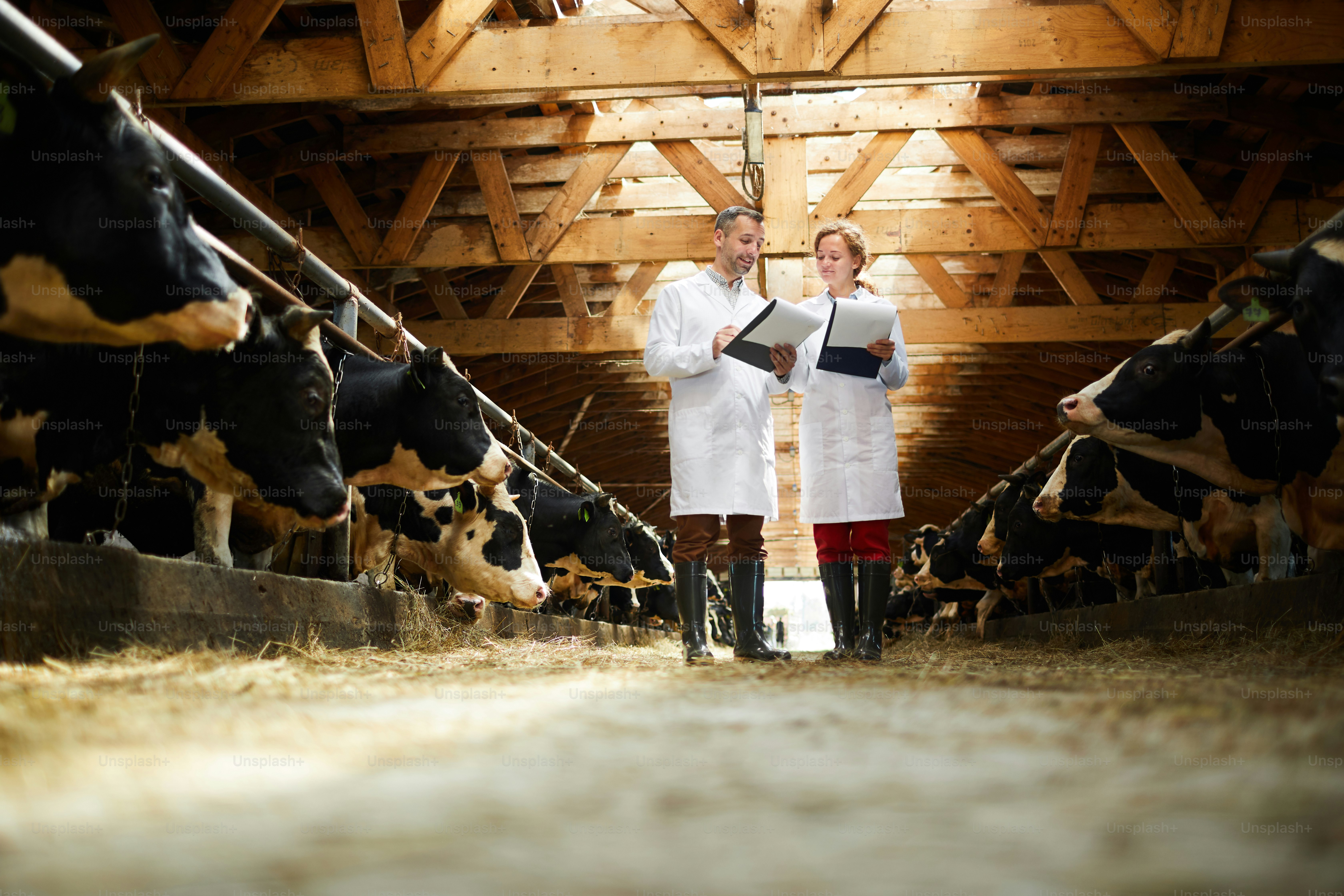 Full length portrait of two modern farm workers wearing lab coats ...