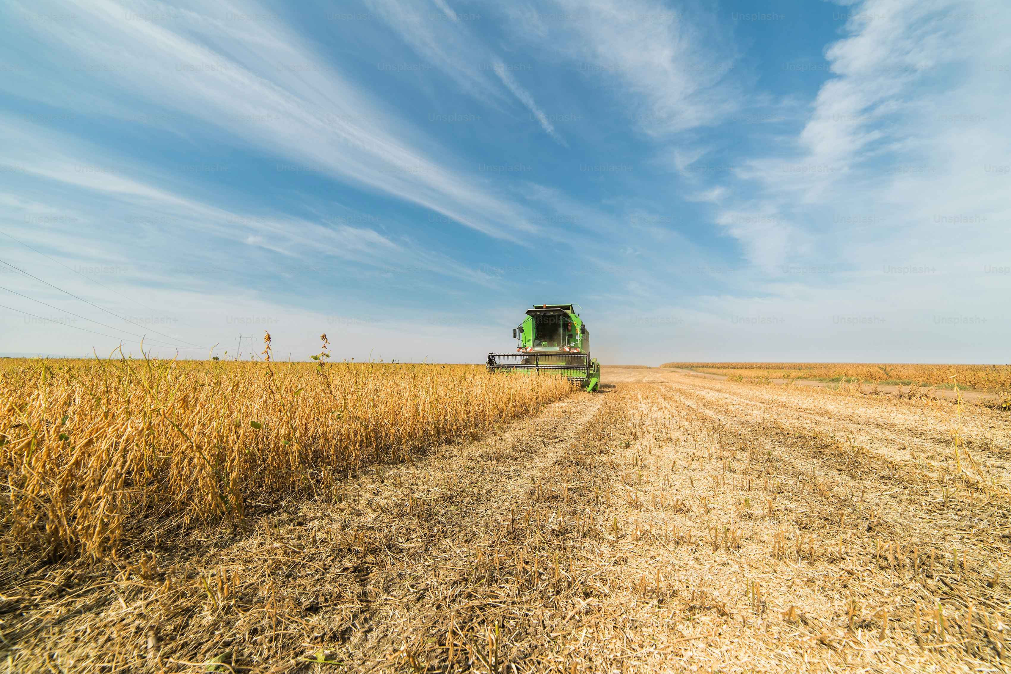 Foto Cosecha de campos de soja con cosechadora – Planta Imagen en Unsplash