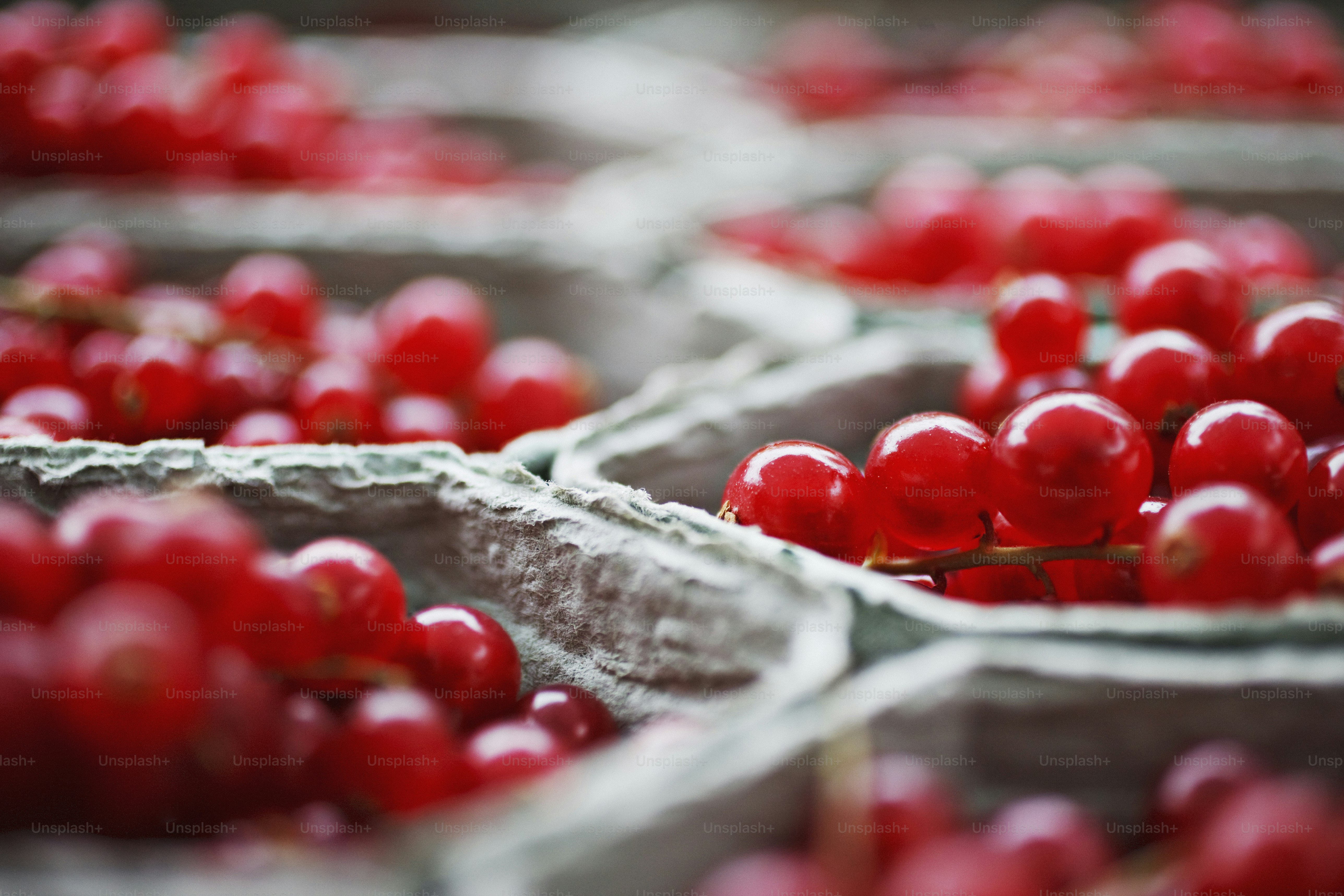 A bunch of red cherries are in baskets photo – Studio shot Image on ...