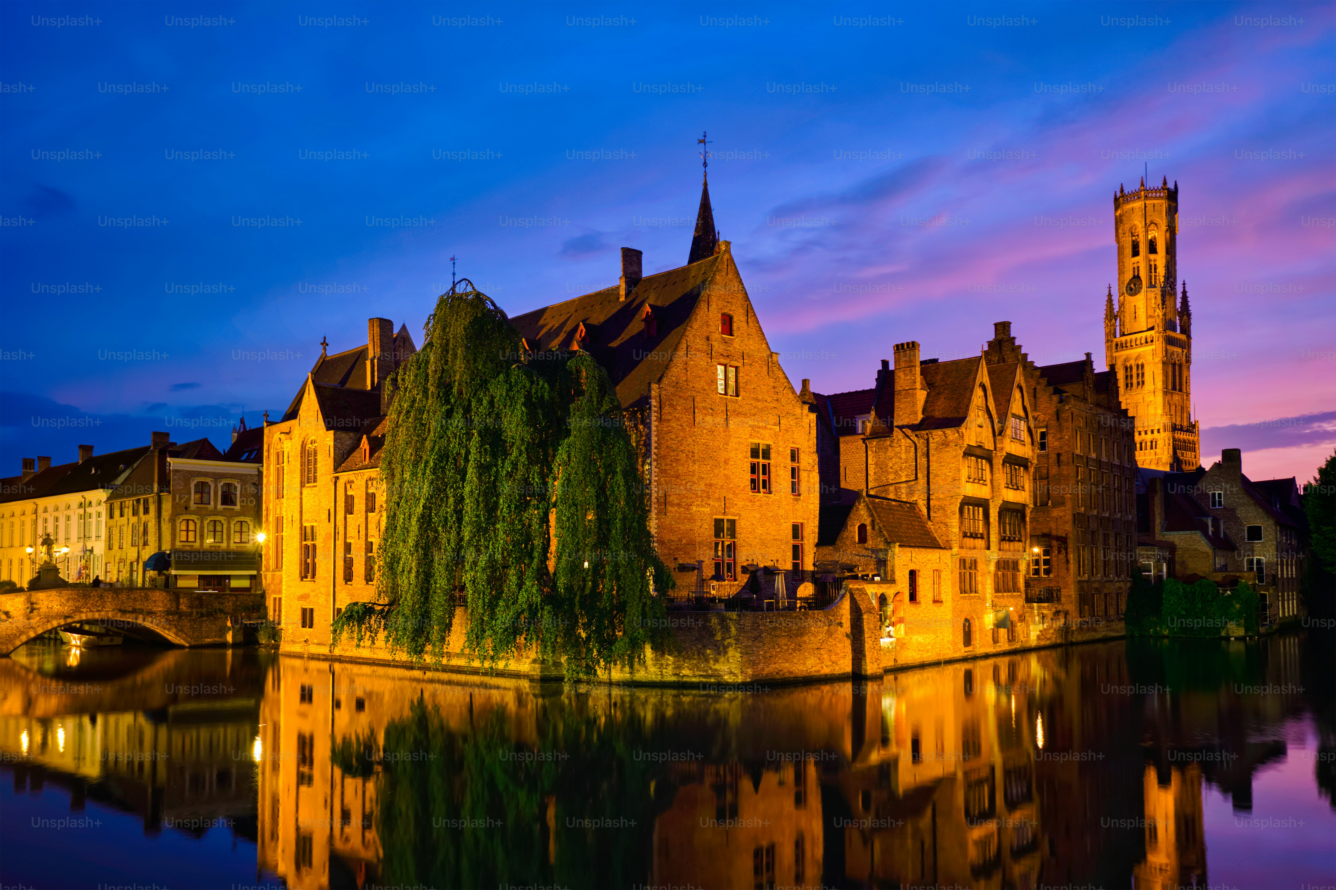 100+ Belgium Pictures | Download Free Images on Unsplash