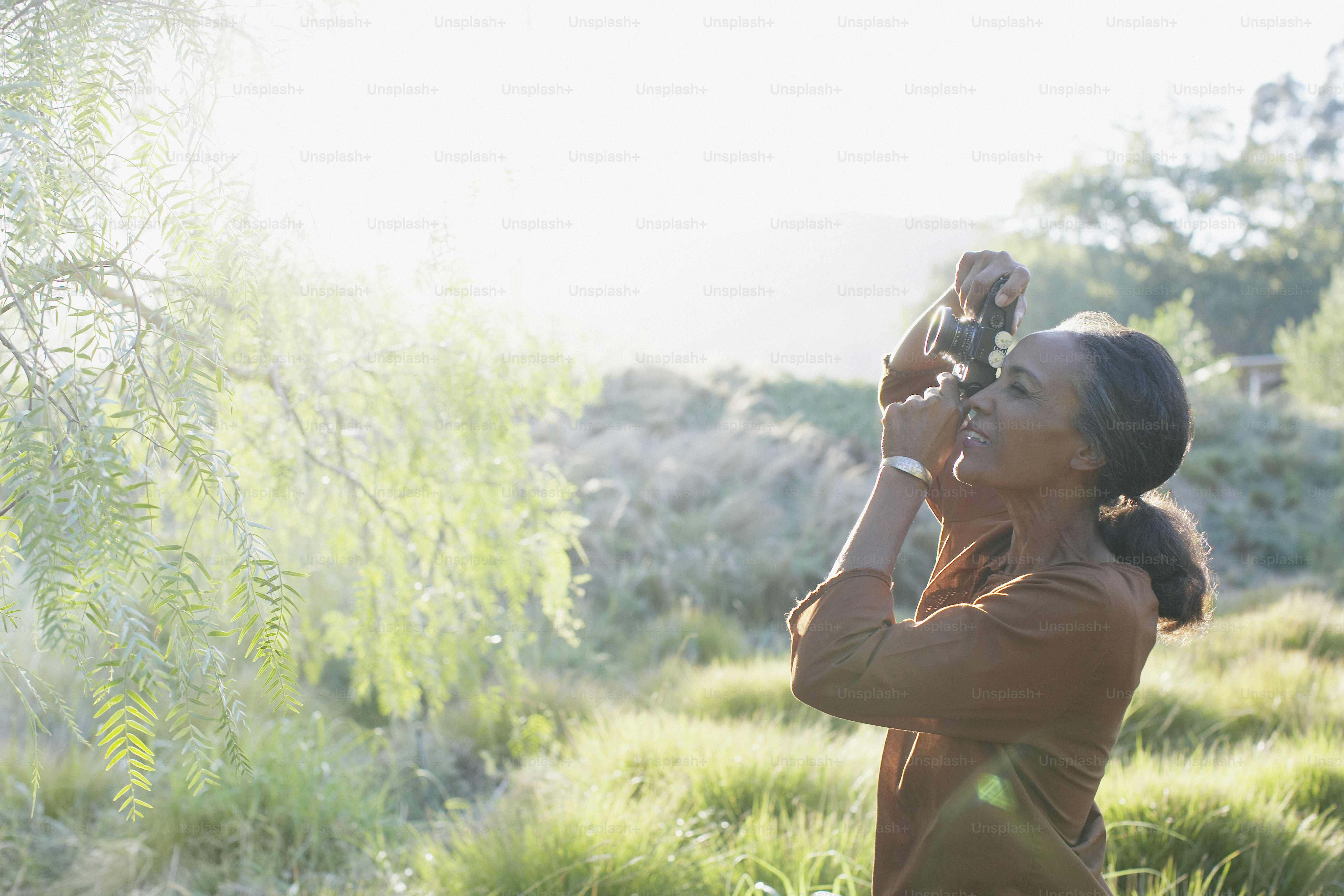 Free Tree Image on Unsplash